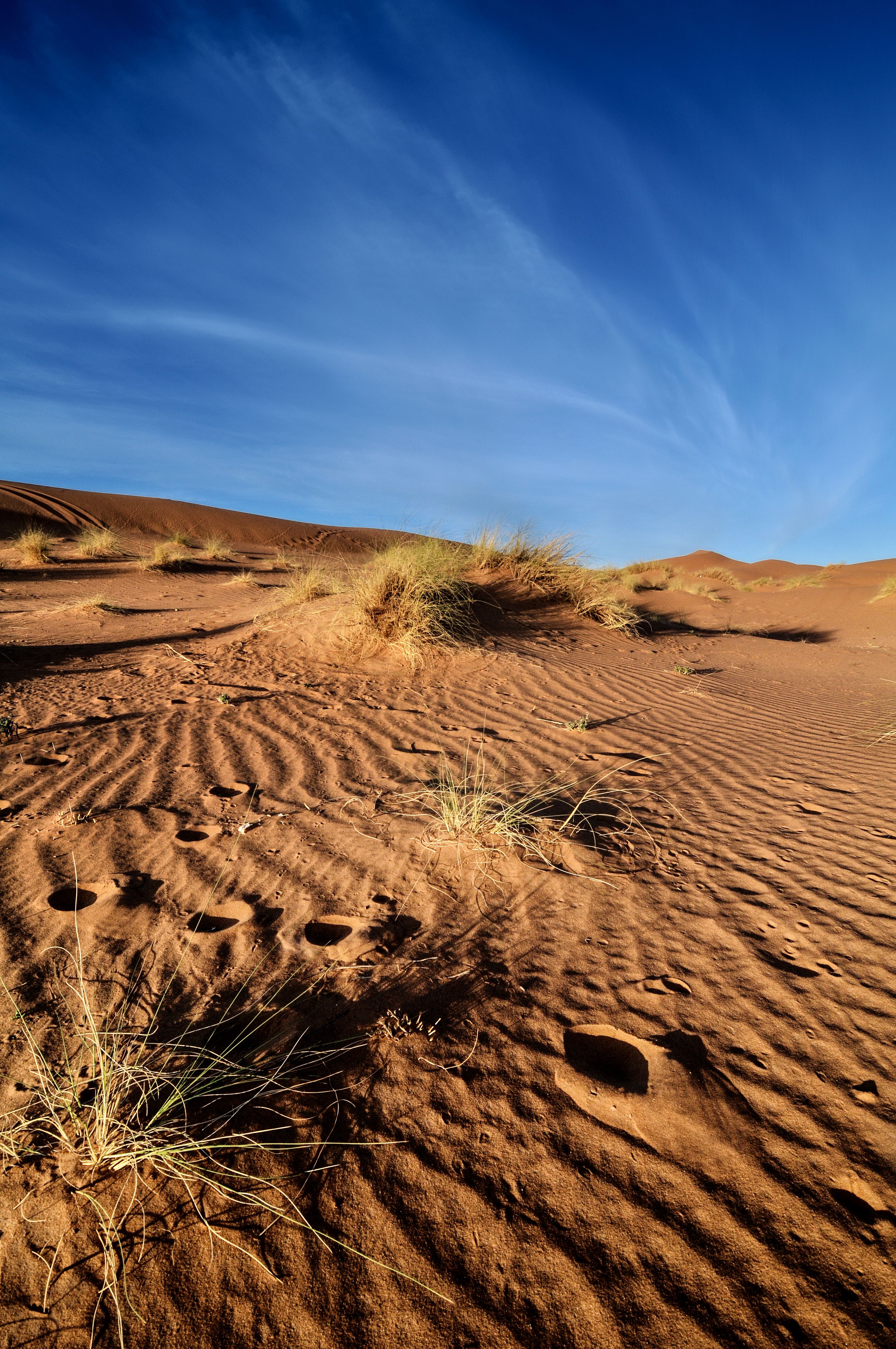 Photo of Desert · Free Stock Photo