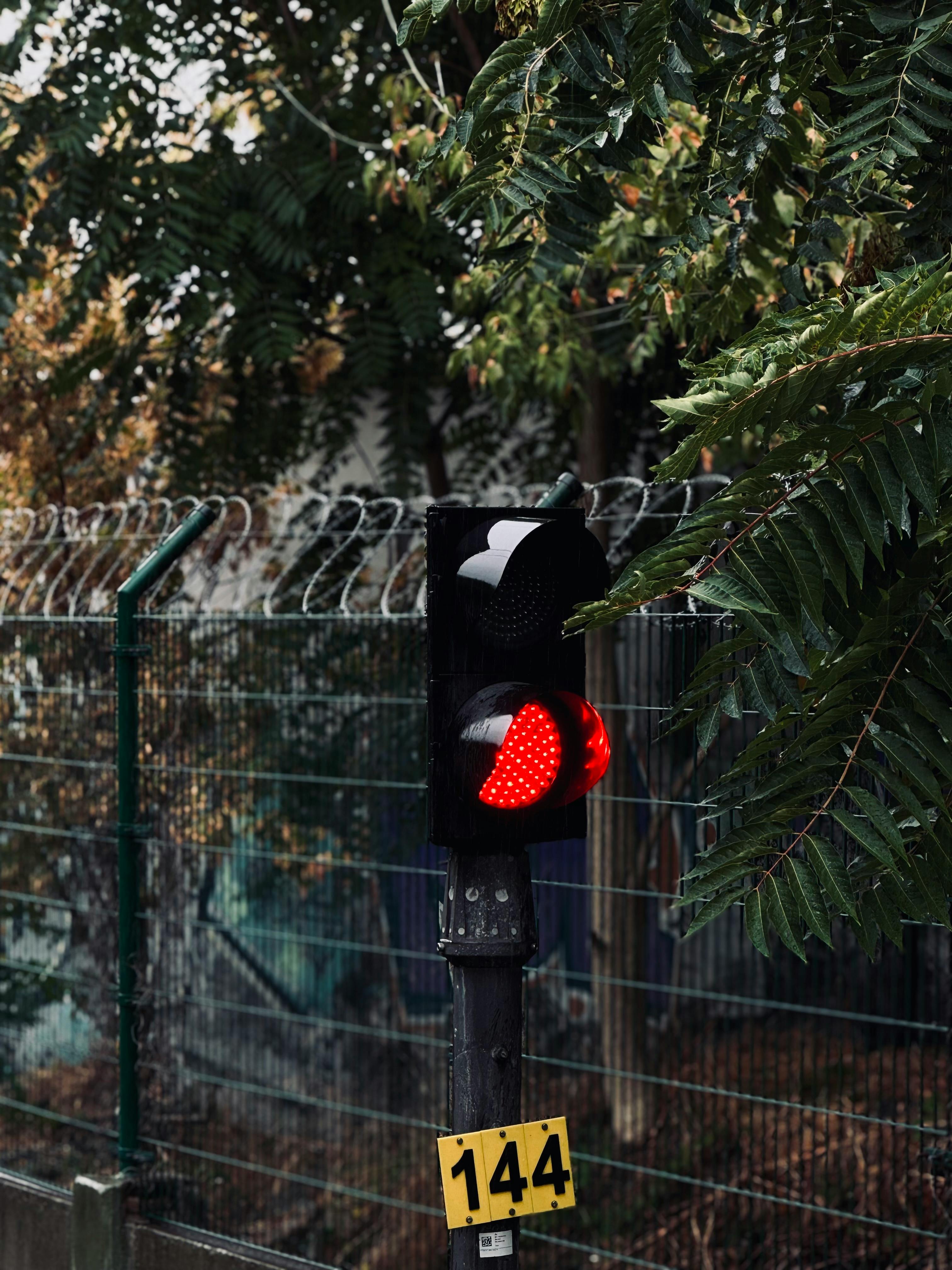 Traffic Light · Free Stock Photo