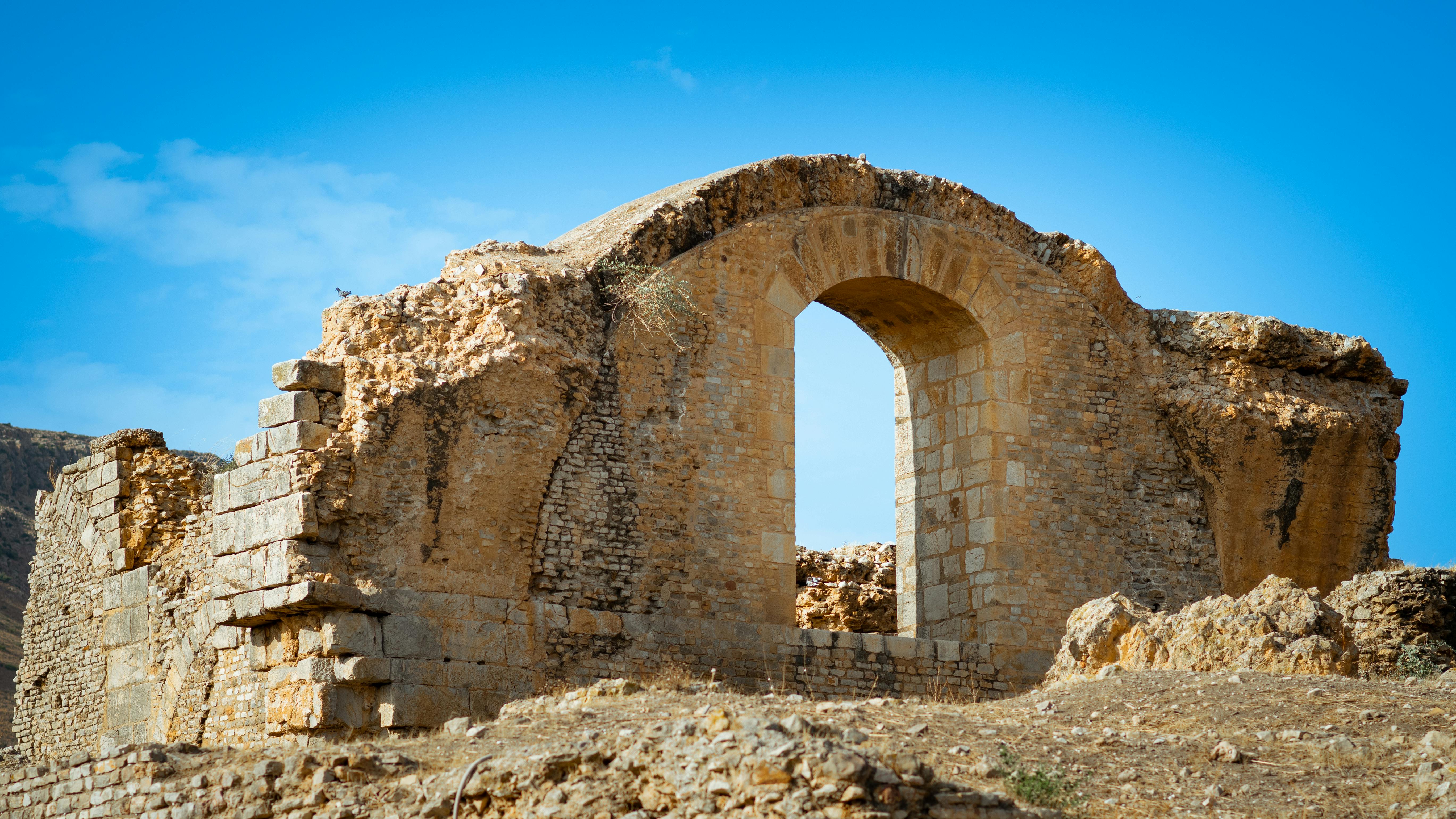 Bulla Billeder Photos, Download The BEST Free Bulla Billeder Stock ...