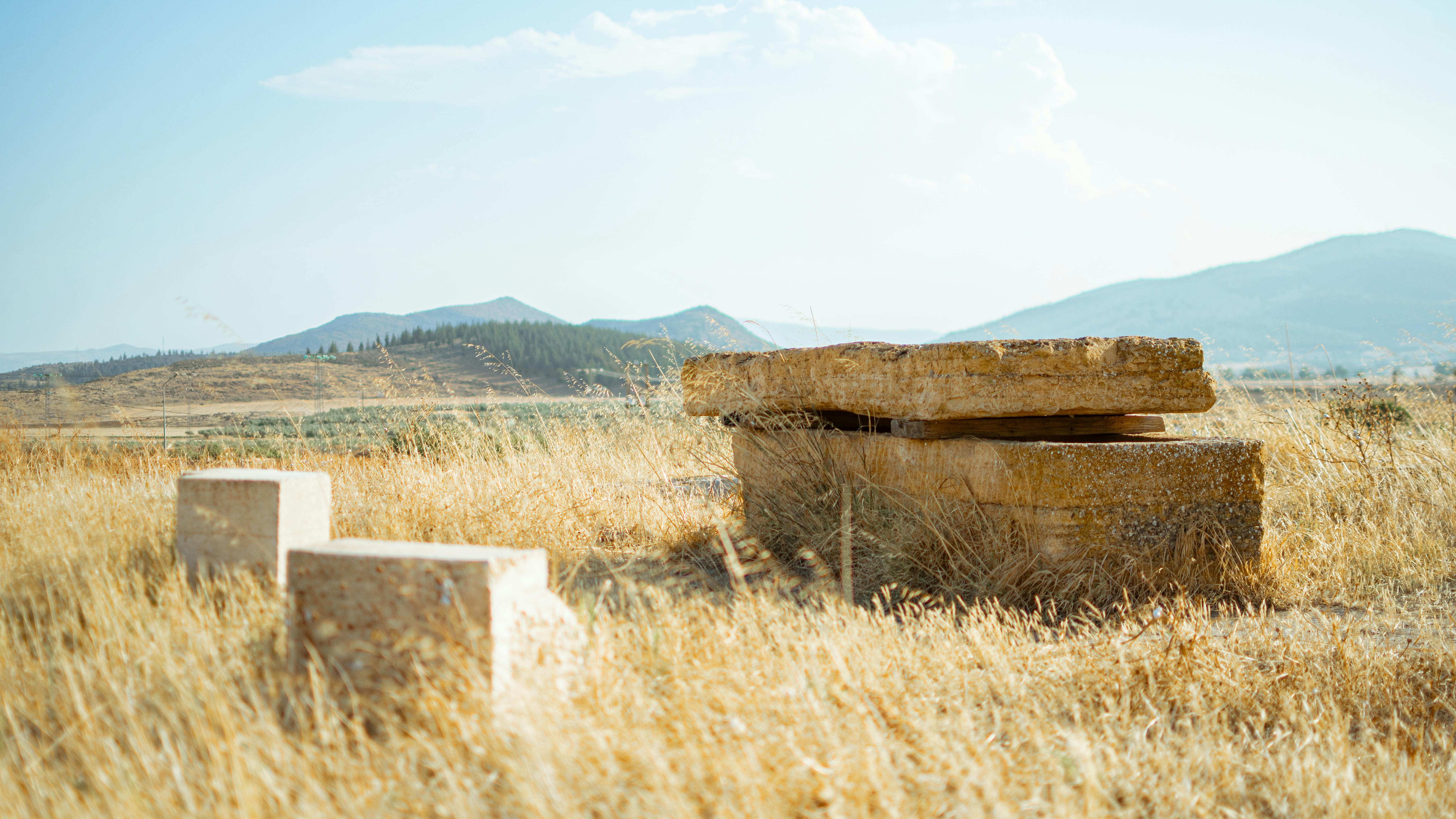 Ancient Roman Agriculture Wheat Photos, Download The BEST Free Ancient ...