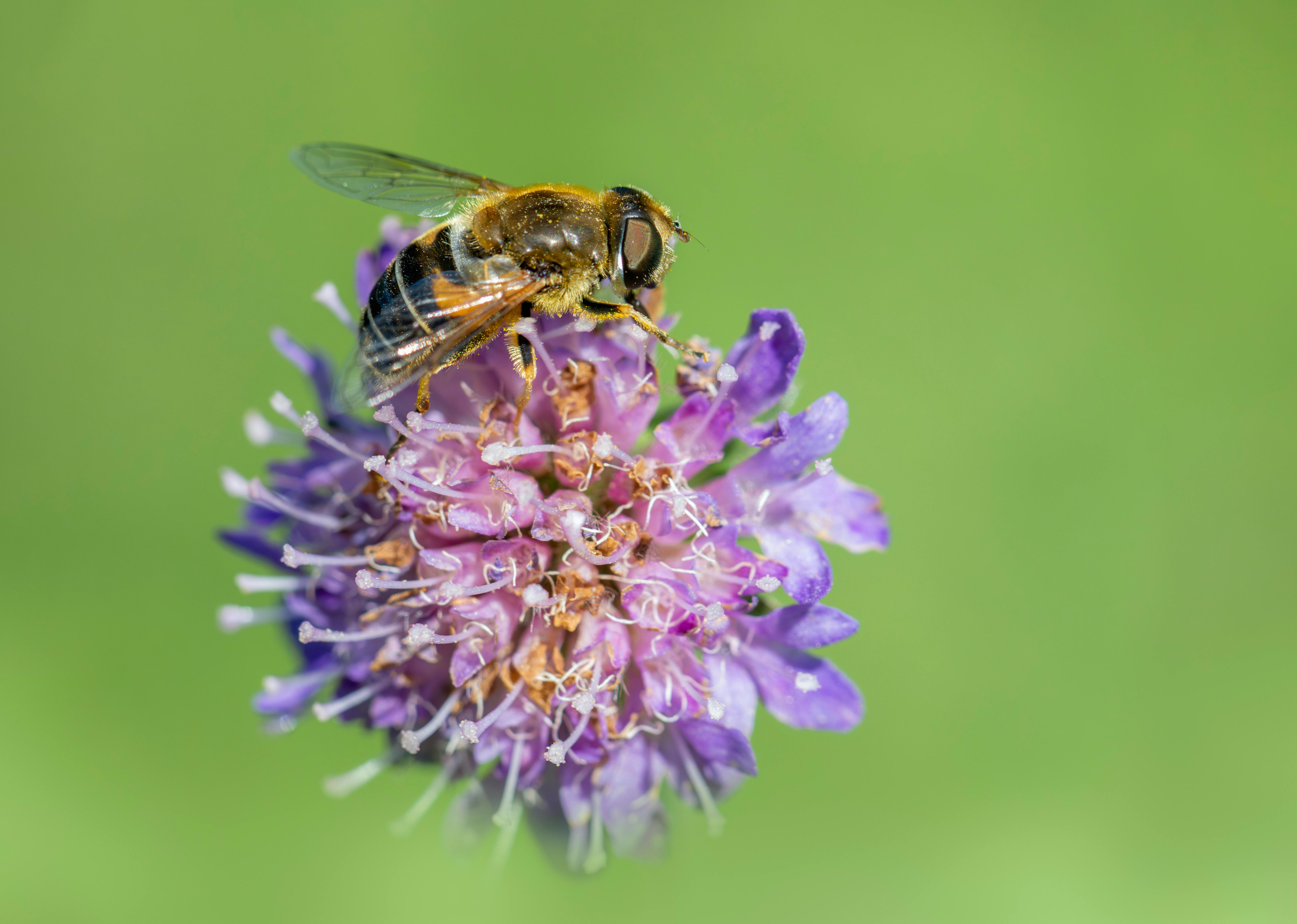 Ecological Adaptations Photos, Download The BEST Free Ecological ...