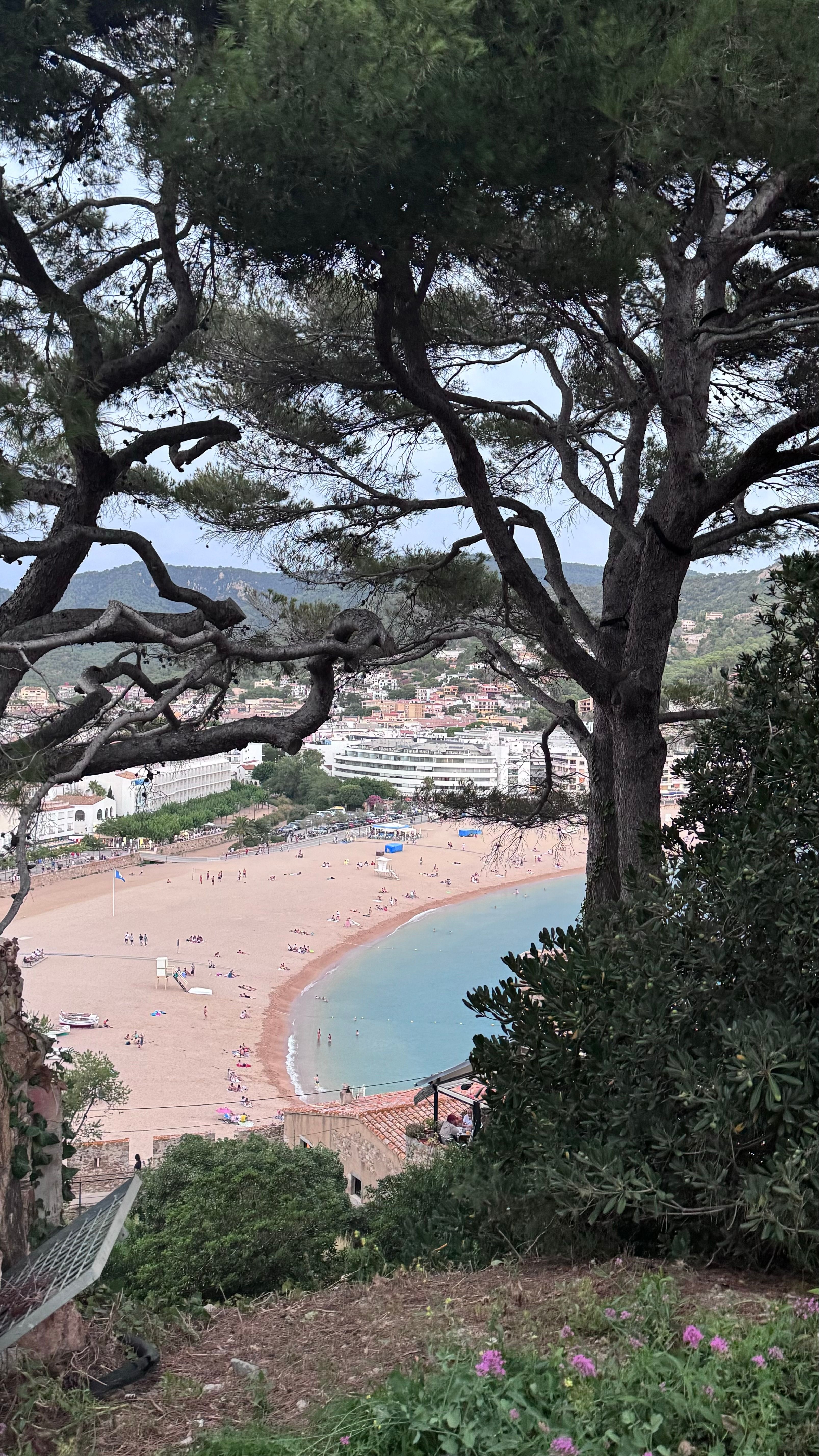 A view of a beach from a hillside · Free Stock Photo