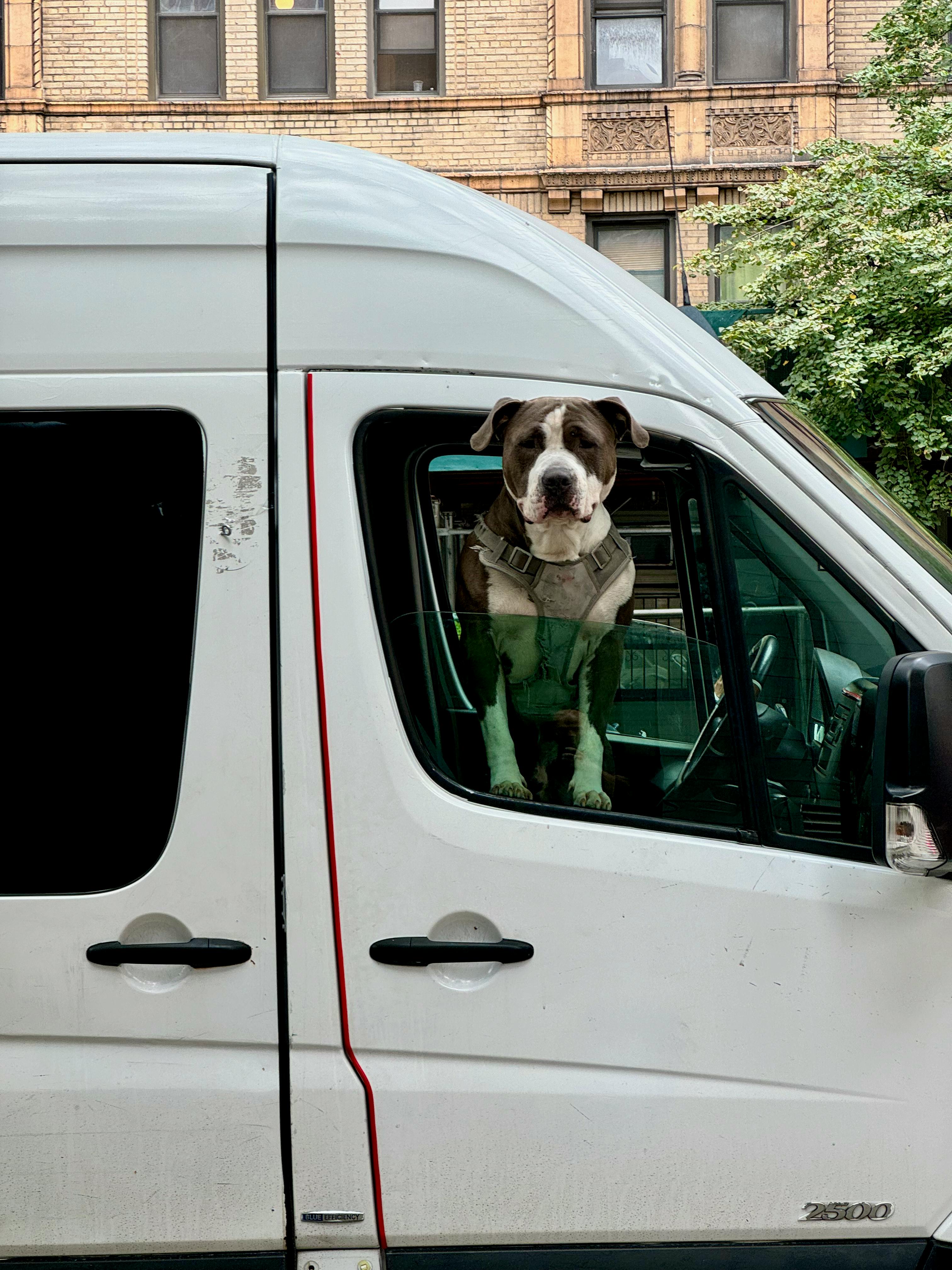 Van Pit Photos, Download The BEST Free Van Pit Stock Photos & HD Images