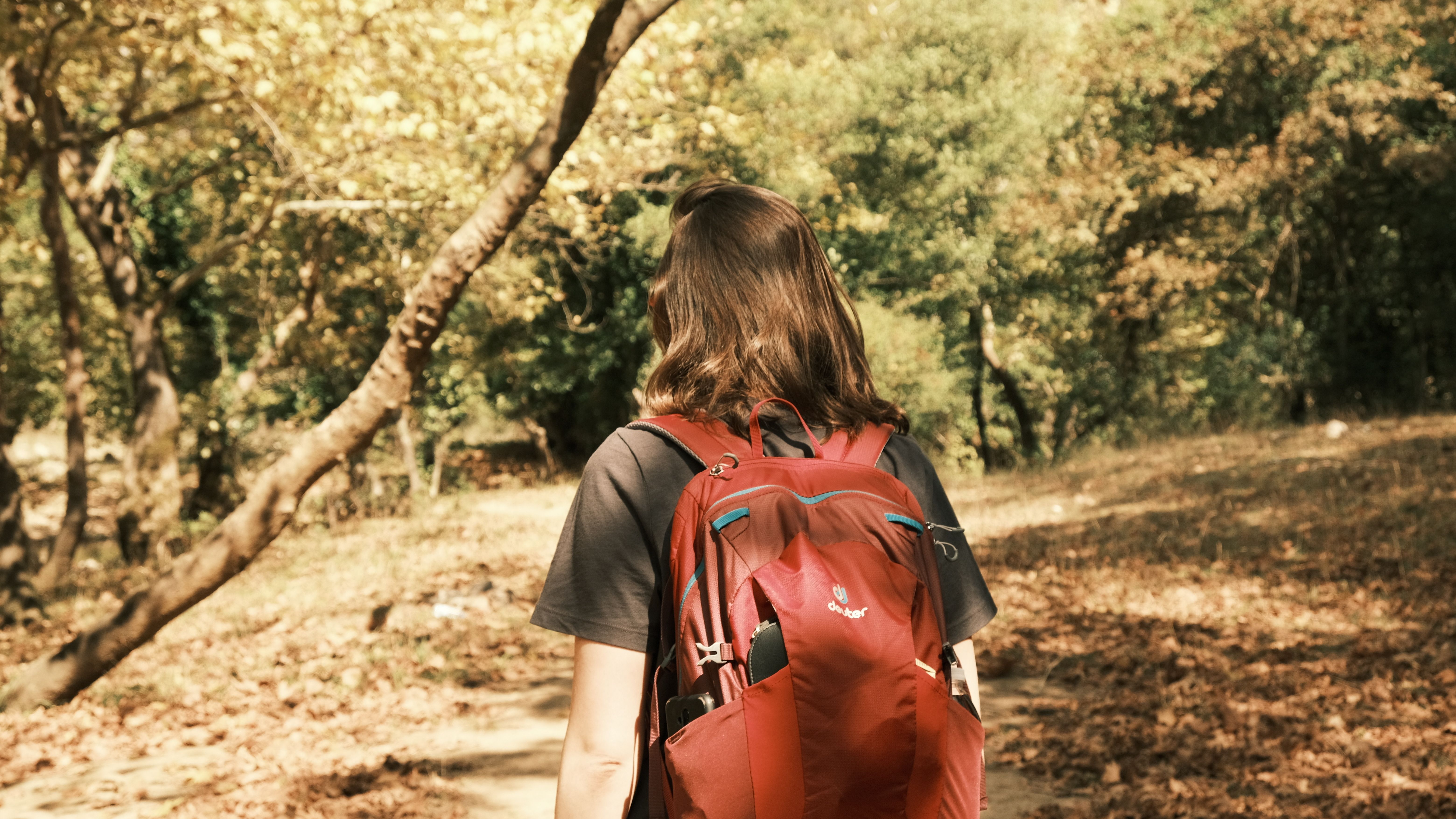 A woman with a red backpack walks through a forest · Free Stock Photo