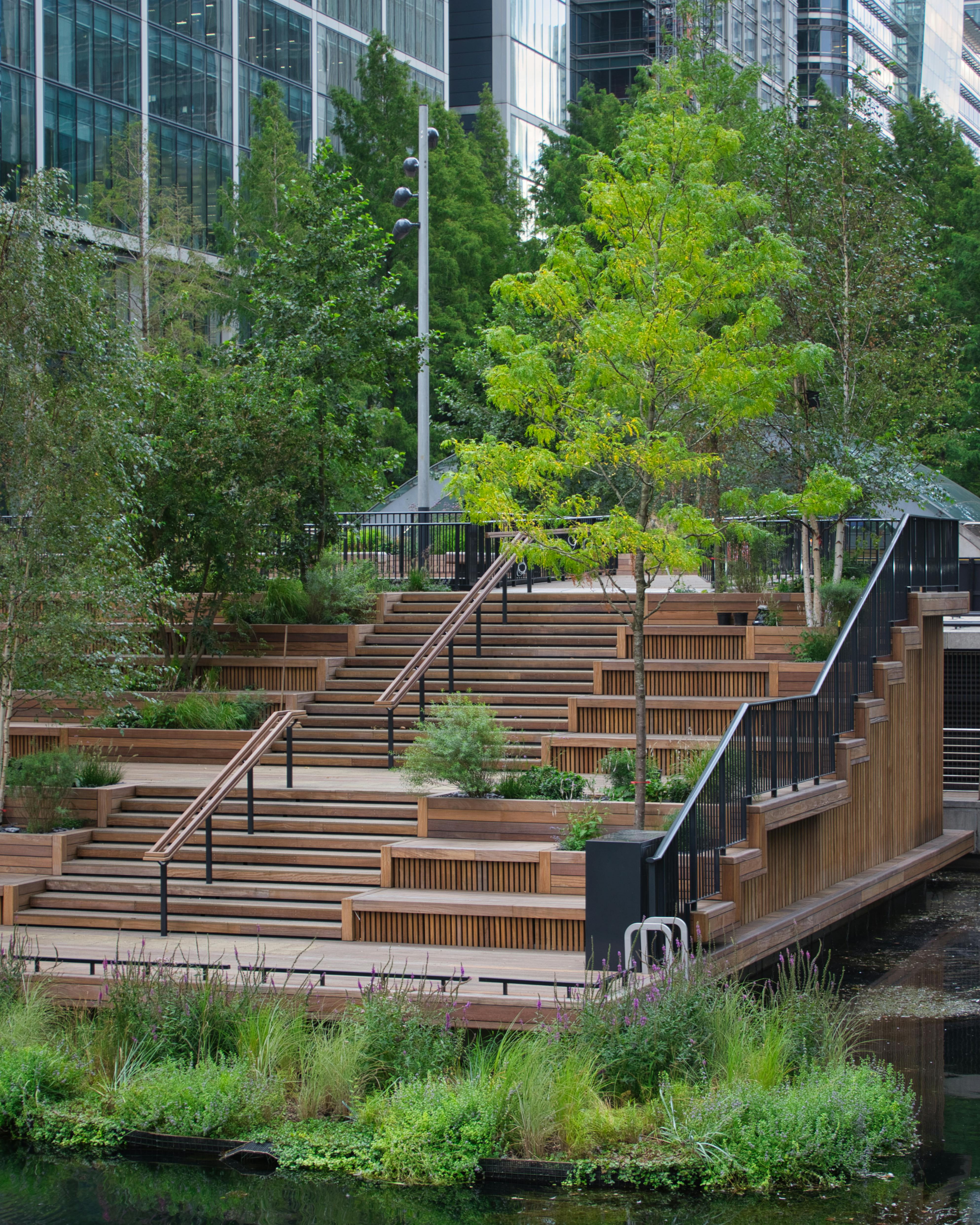 A park with stairs and trees in the middle of it · Free Stock Photo