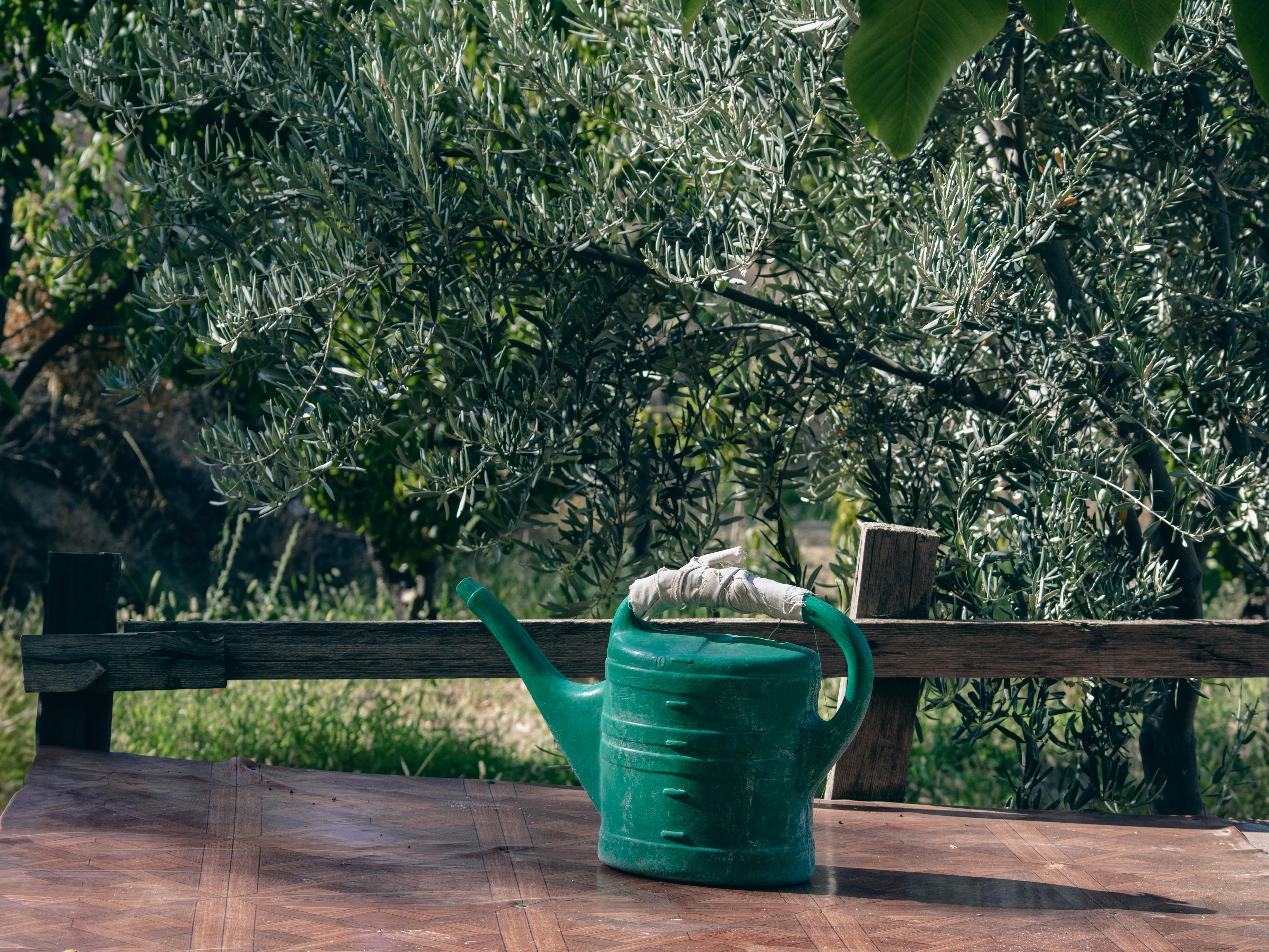 Photo of Woman Holding Watering Can · Free Stock Photo