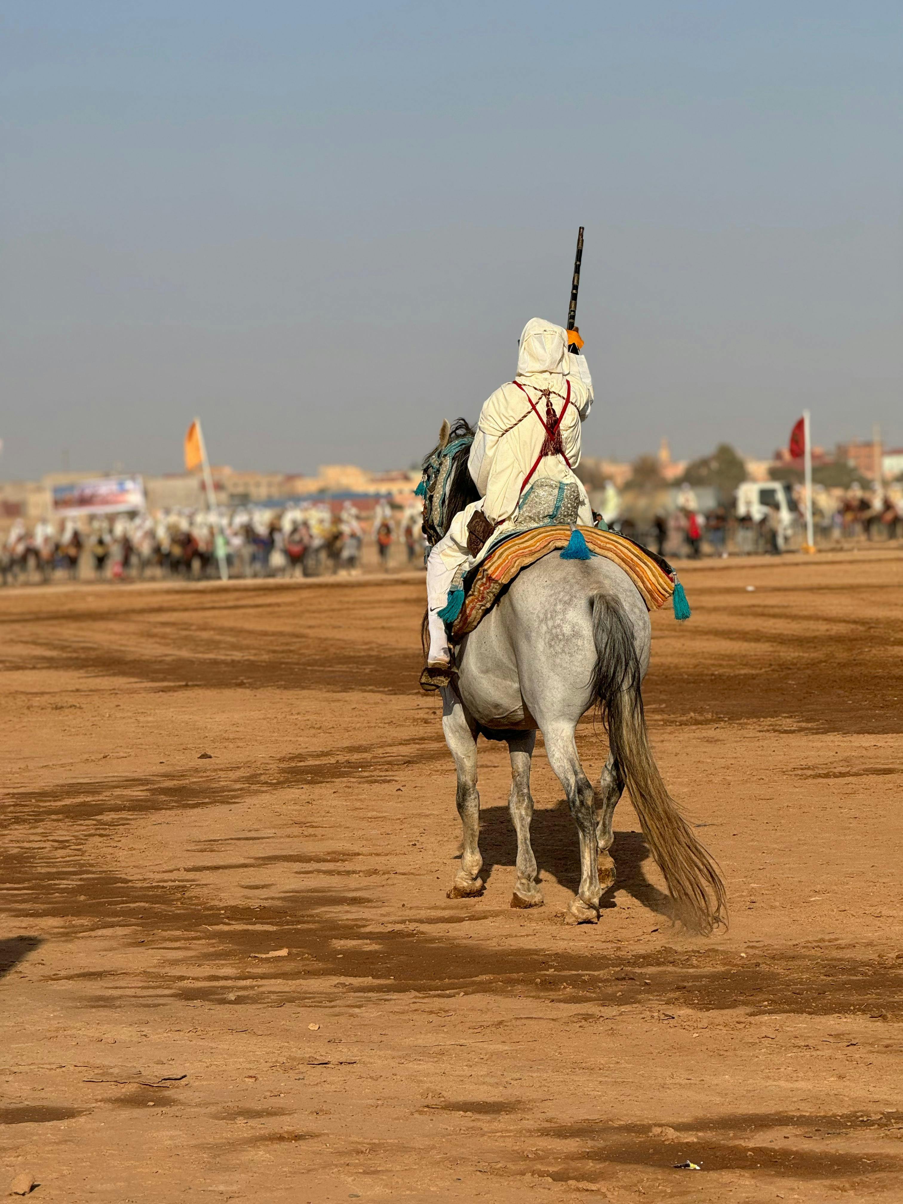 Tbourida au Maroc · Free Stock Photo