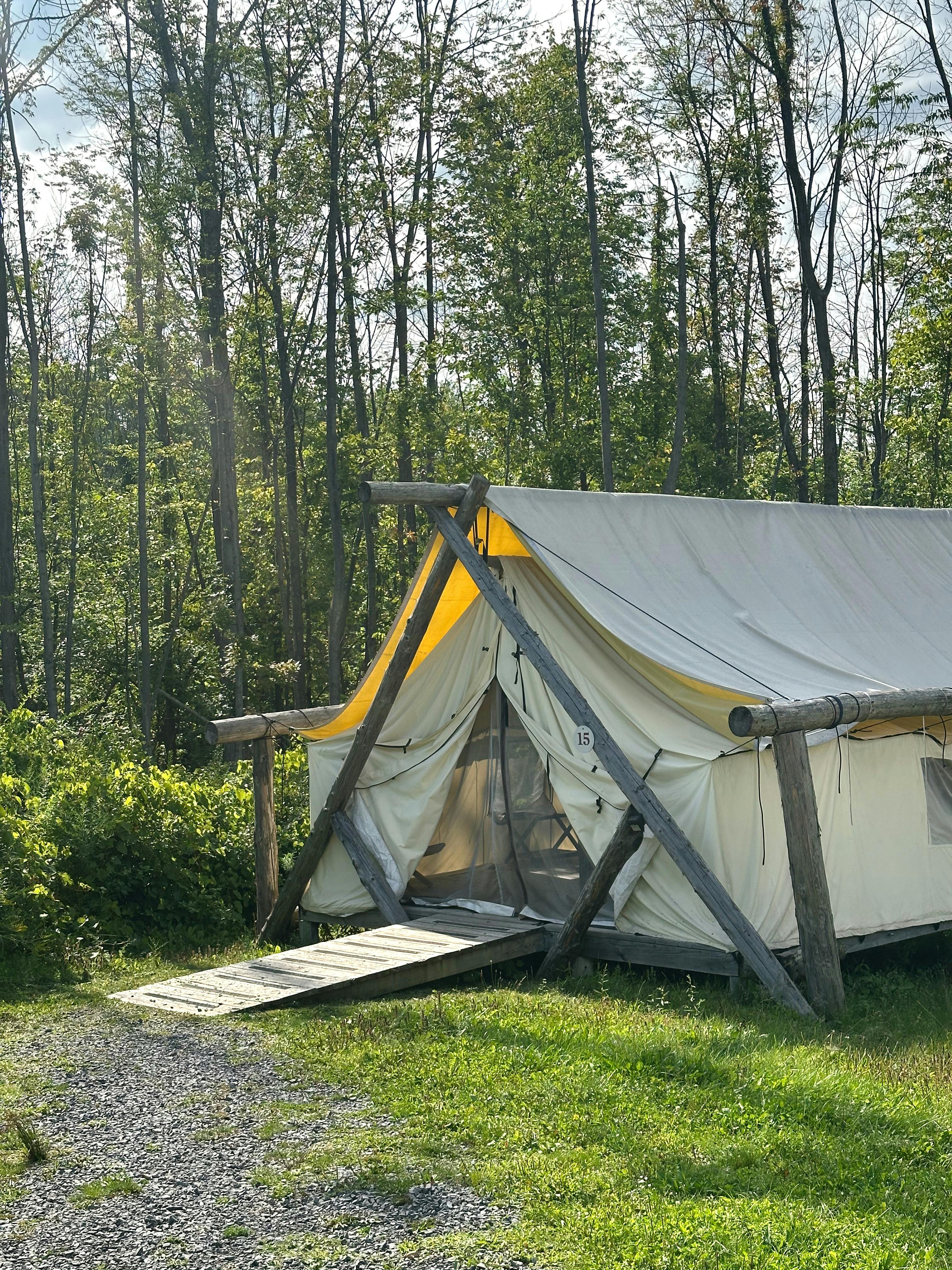 Tent Near Tree · Free Stock Photo