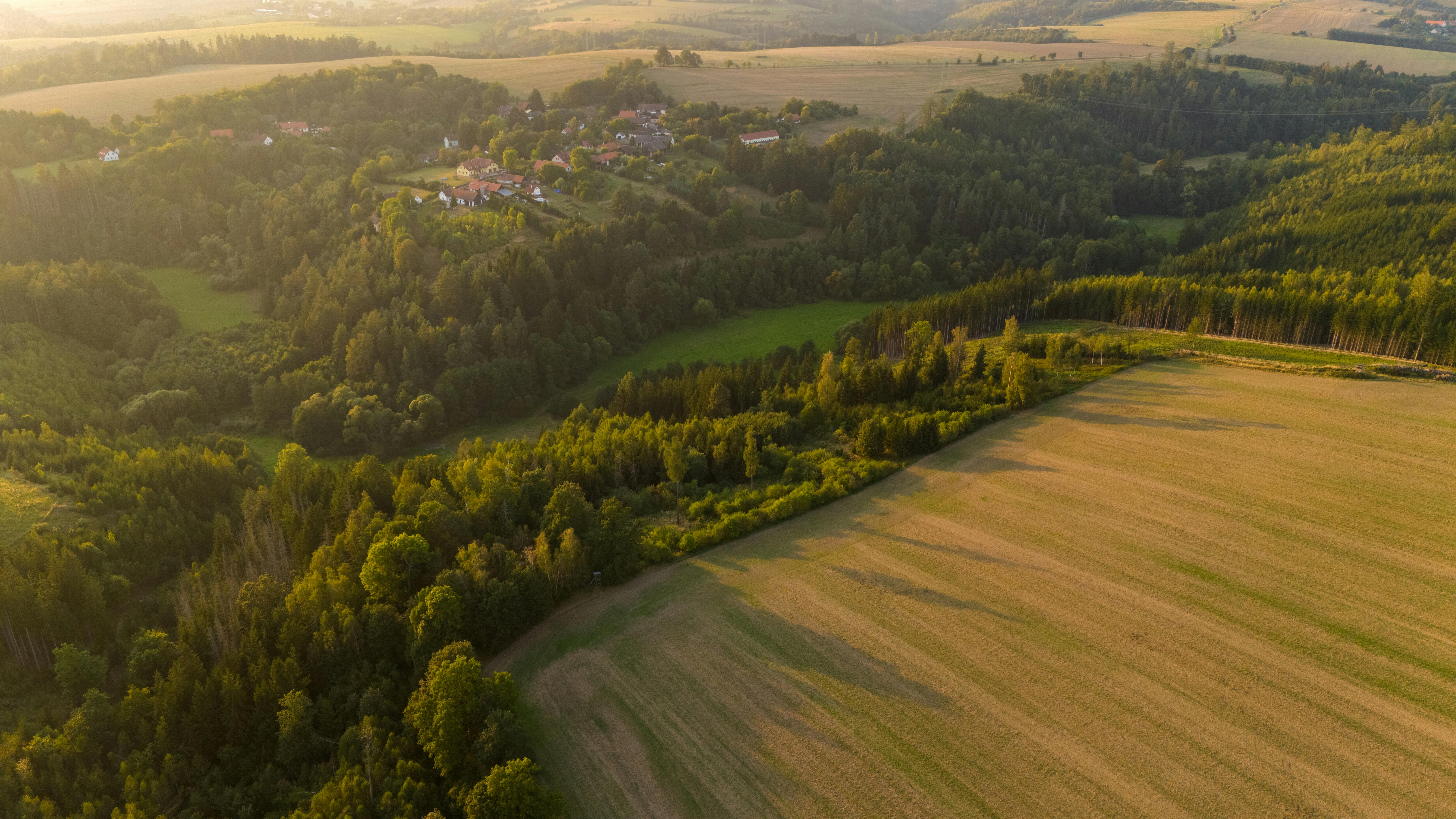 Aerial view of a rural area with trees and fields · Free Stock Photo