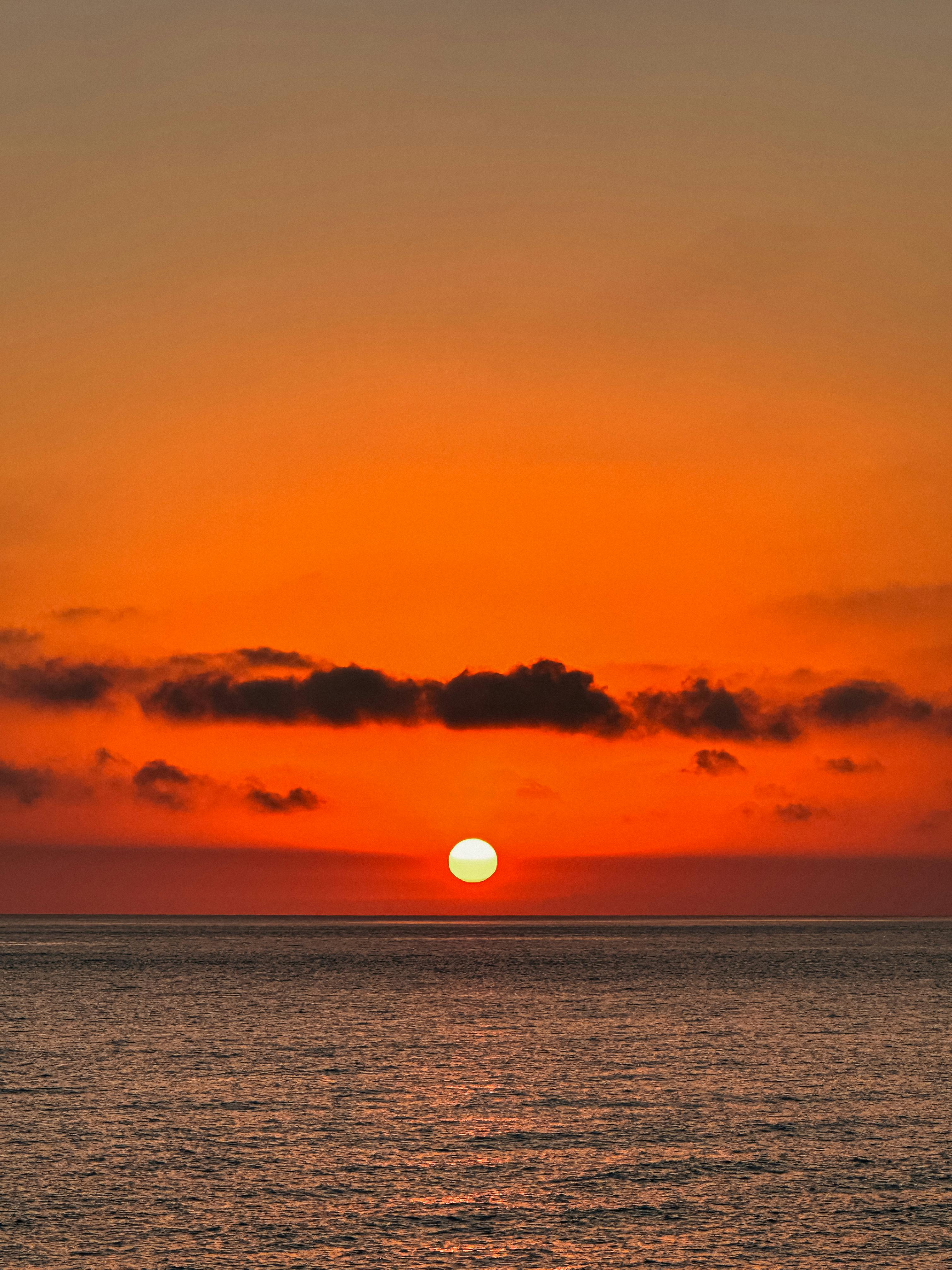 Sunshine · Free Stock Photo