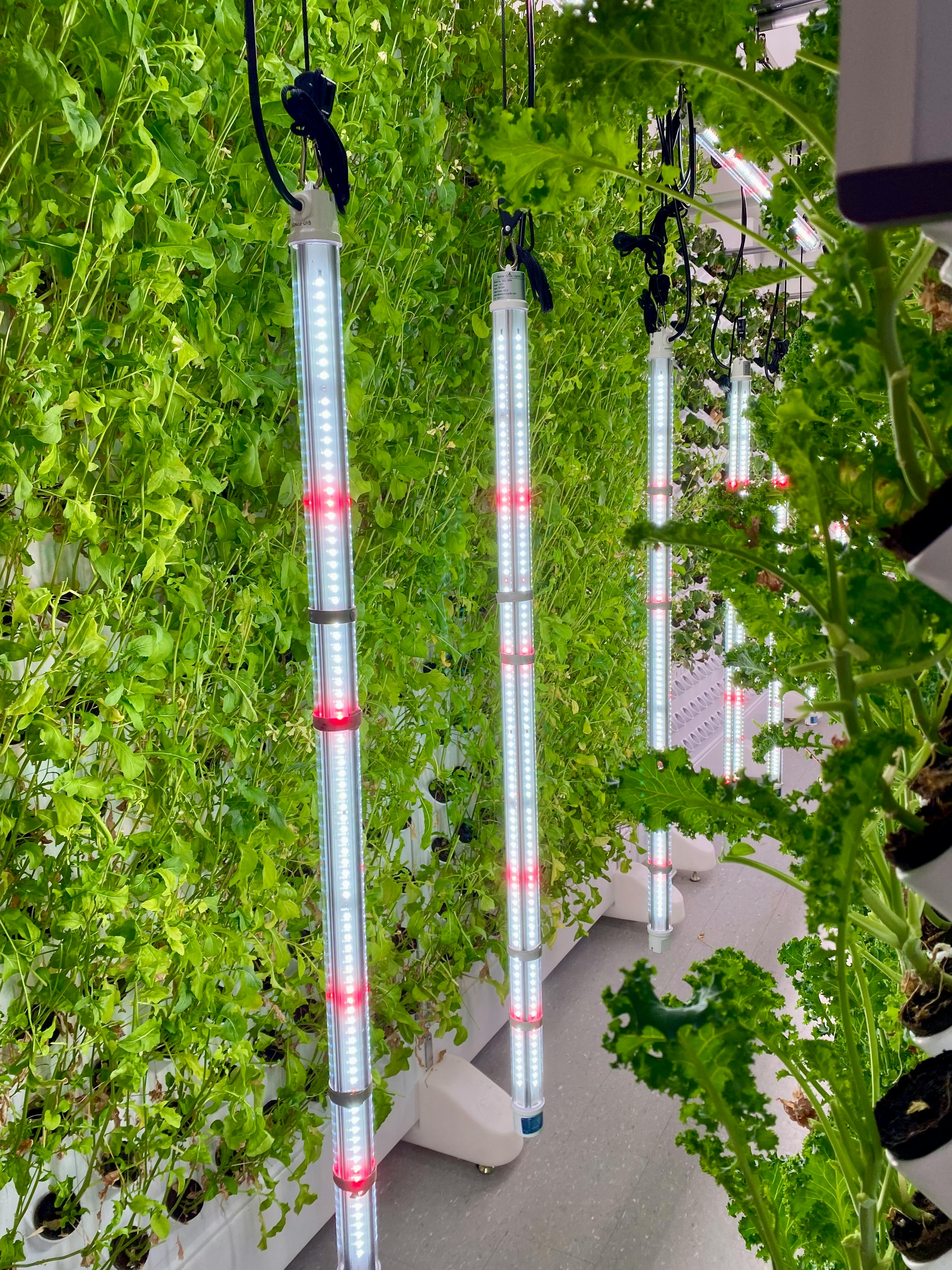 Jardin Hydroponique Intérieur Vertical Avec éclairage Led · Photo gratuite