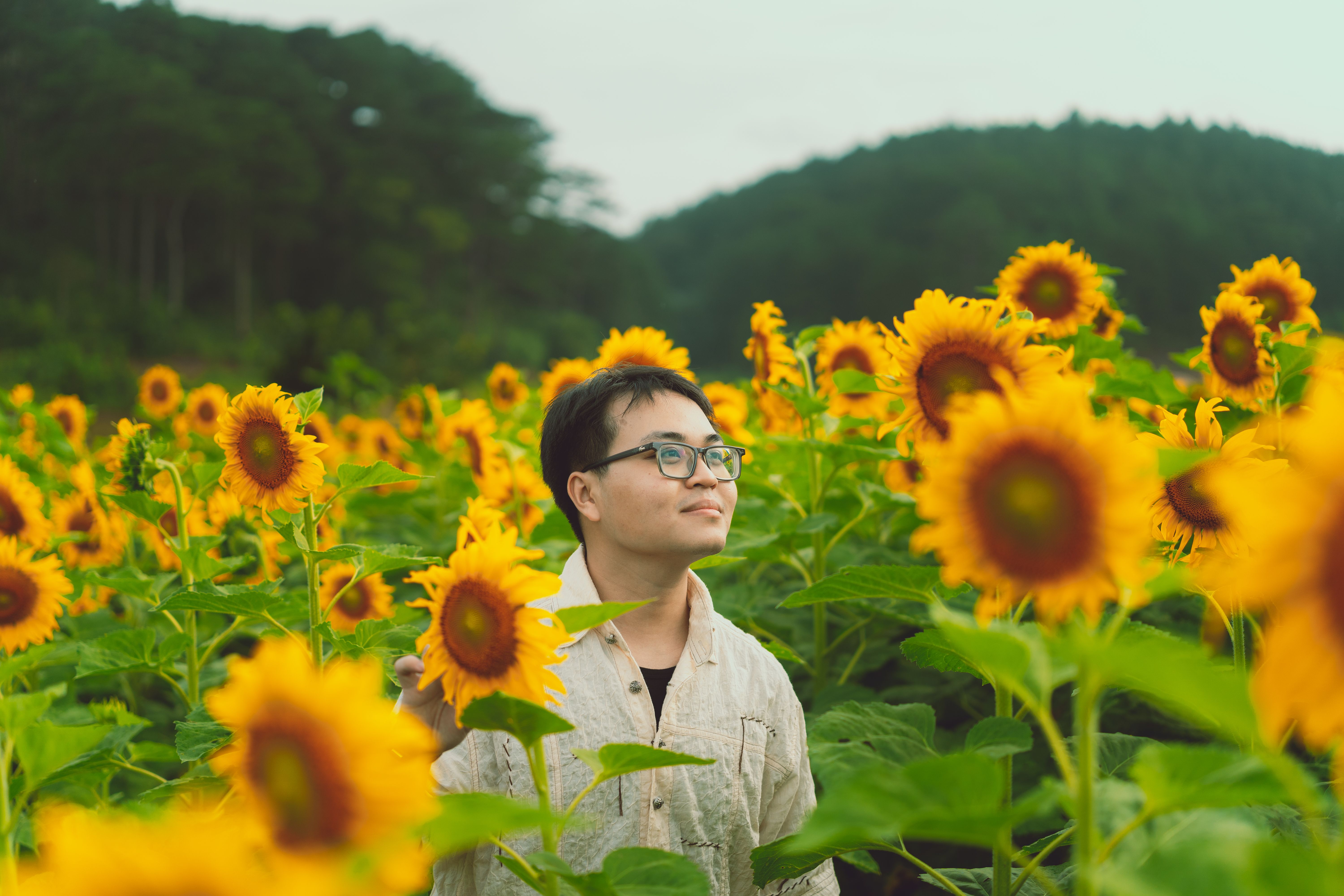 A man standing in a field of sunflowers · Free Stock Photo