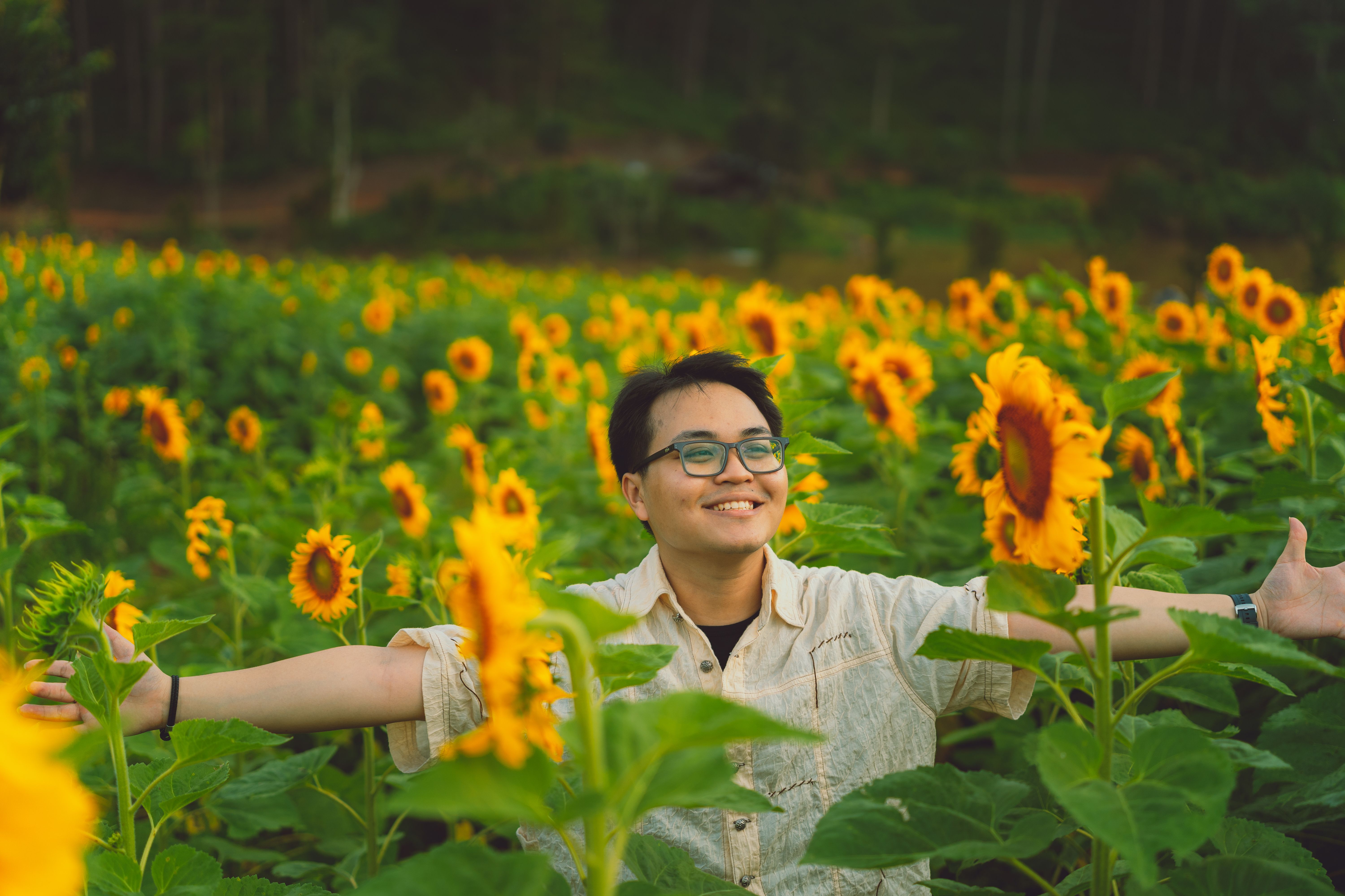 A man in a sunflower field with his arms outstretched · Free Stock Photo
