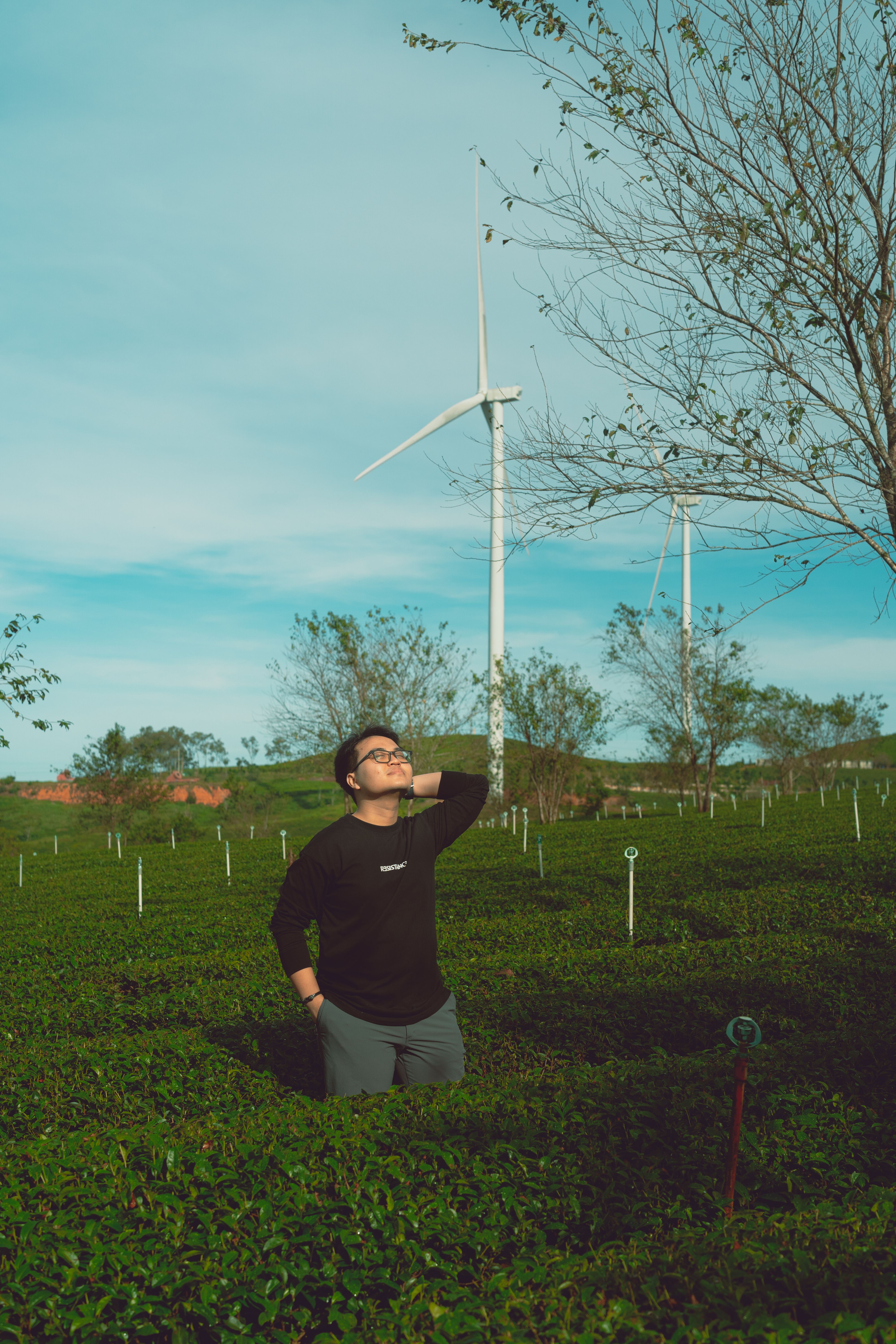 A man standing in front of wind turbines · Free Stock Photo
