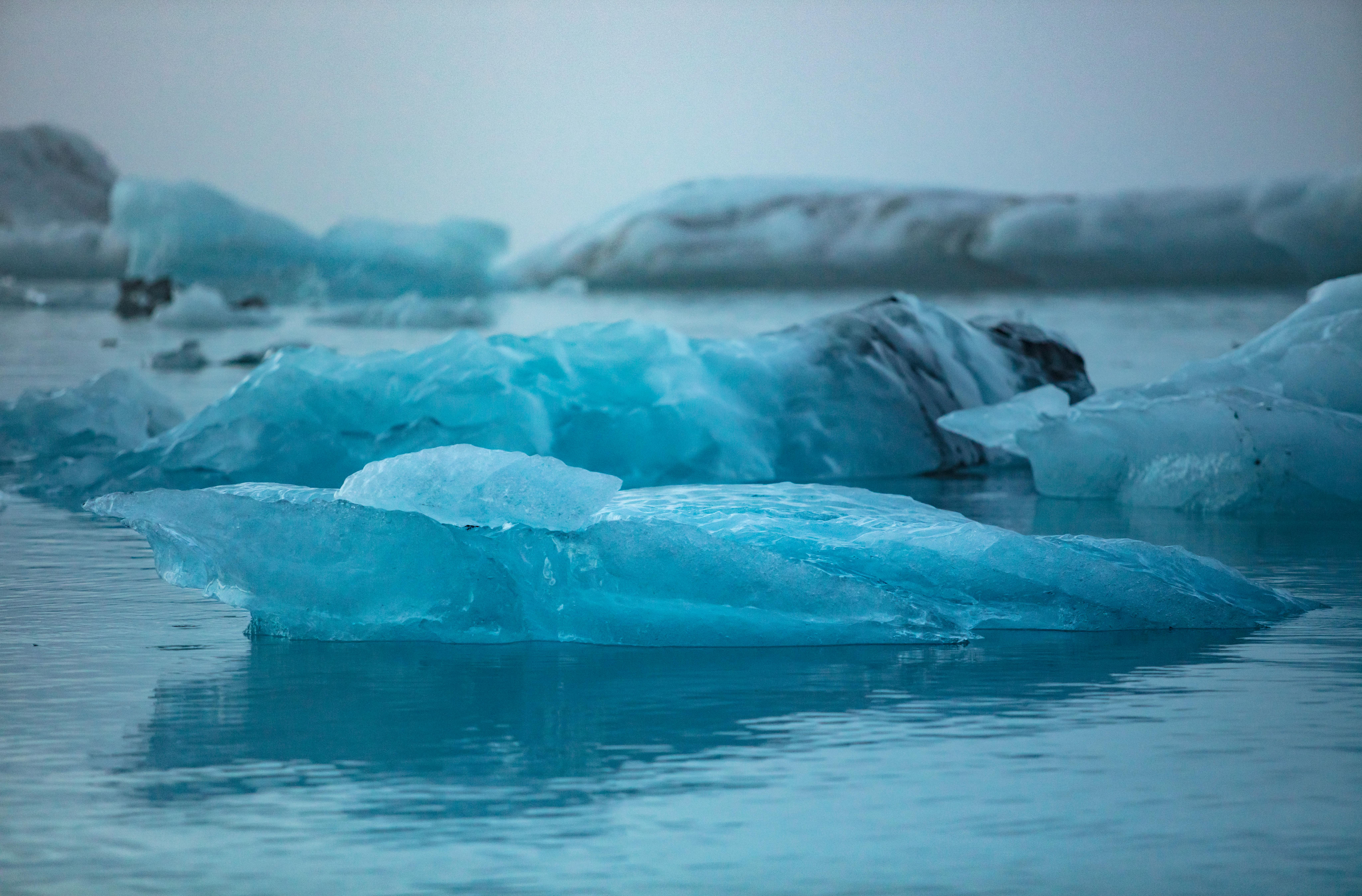 Icebergs floating in the water near a shore · Free Stock Photo