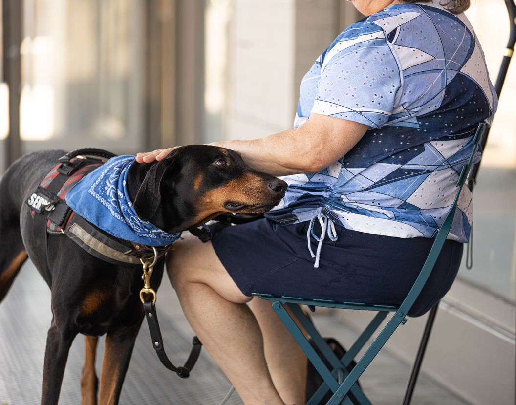 Does Insurance Cover Service Dogs? A Comprehensive Guide