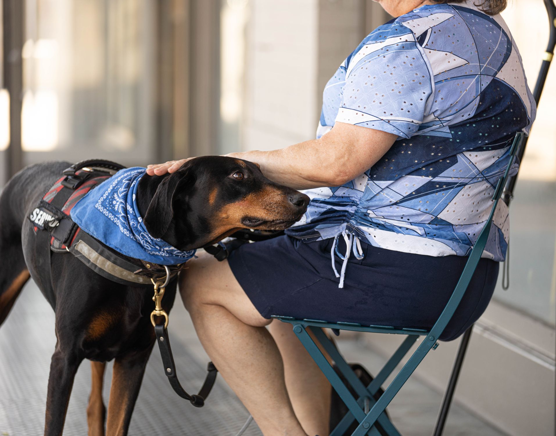 Unleashing the History of Service Dogs: A Timeless Bond