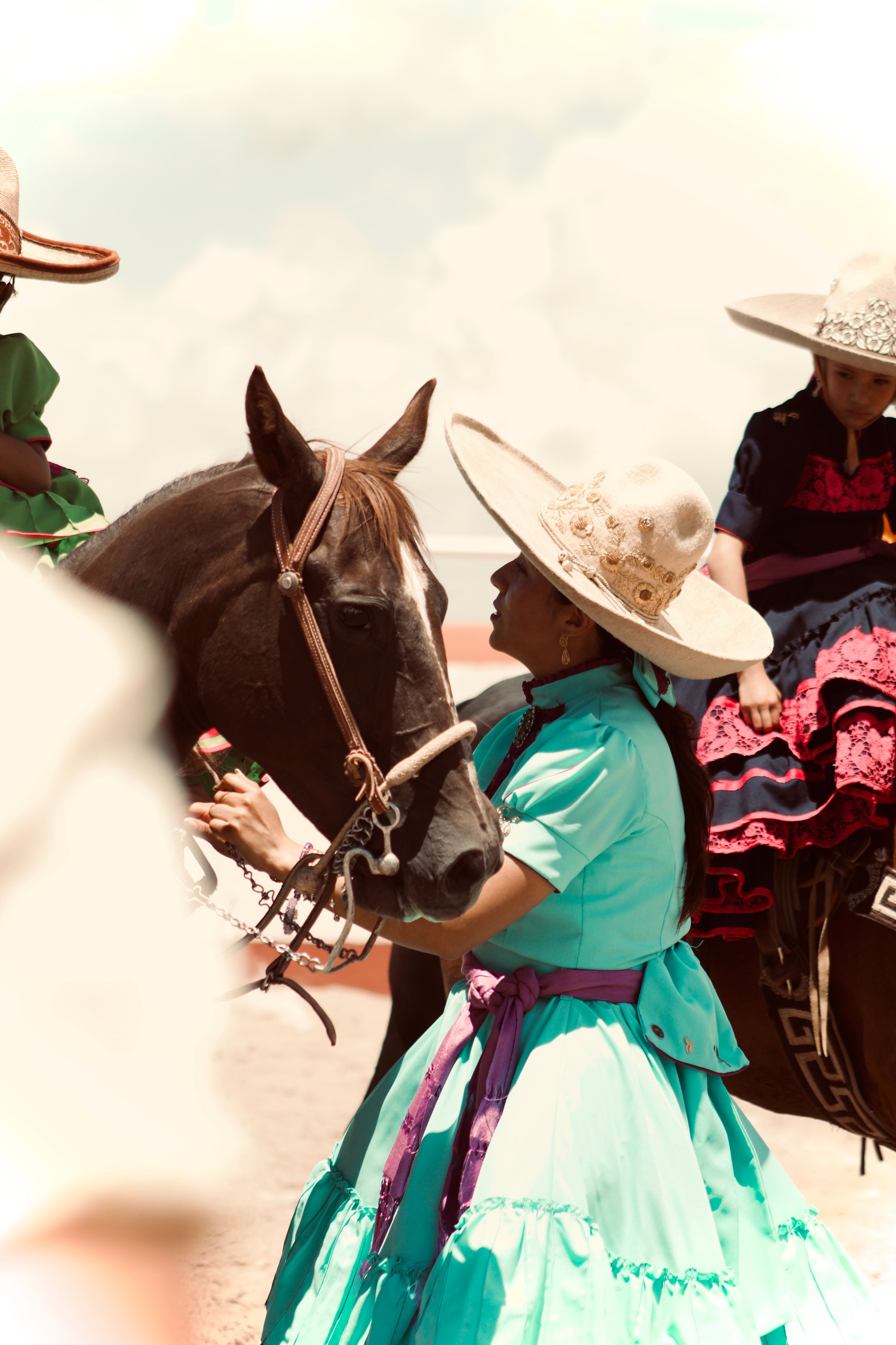 Traditional Charro Celebration in Mexico · Free Stock Photo