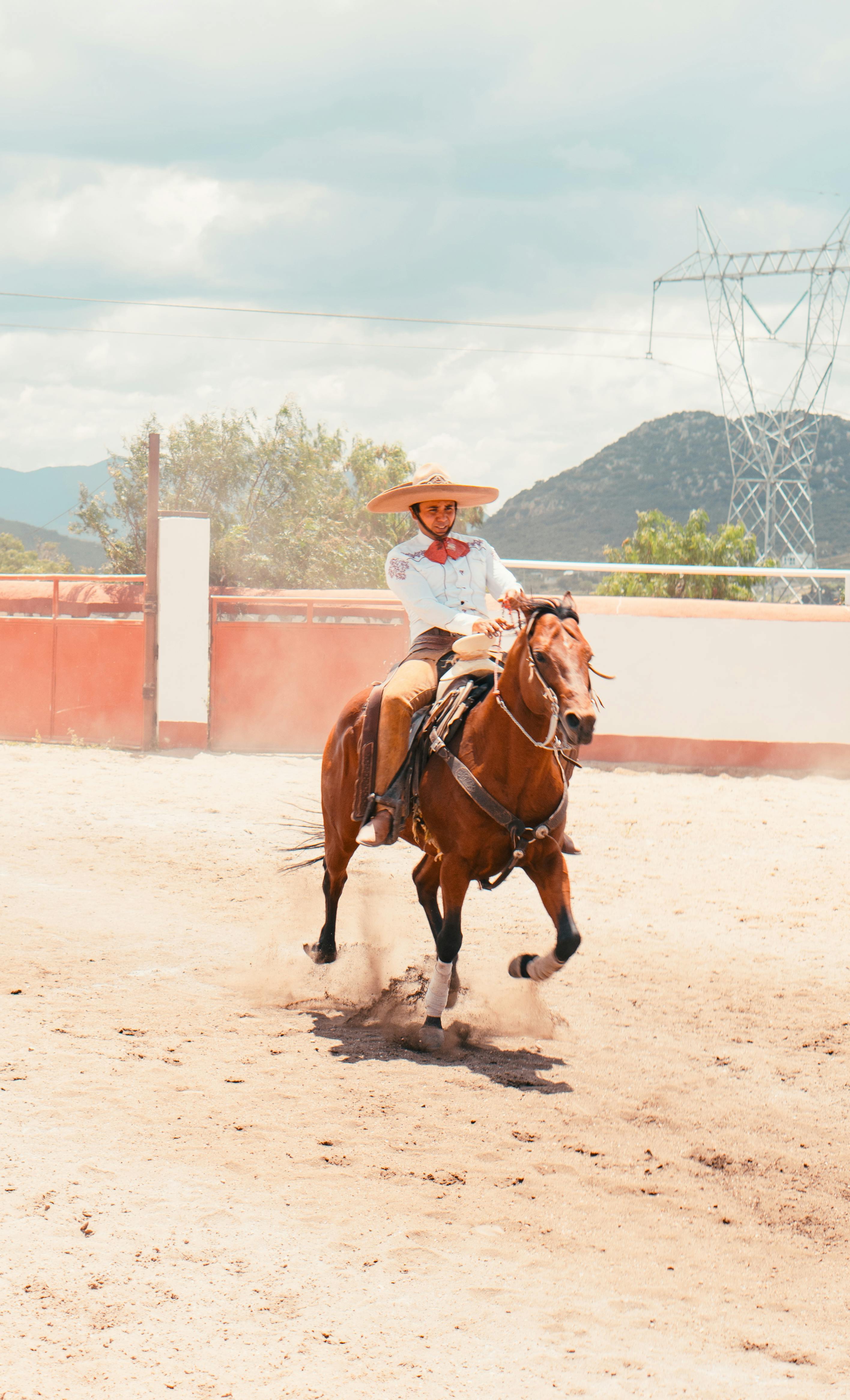 Man Riding A Horse · Free Stock Photo