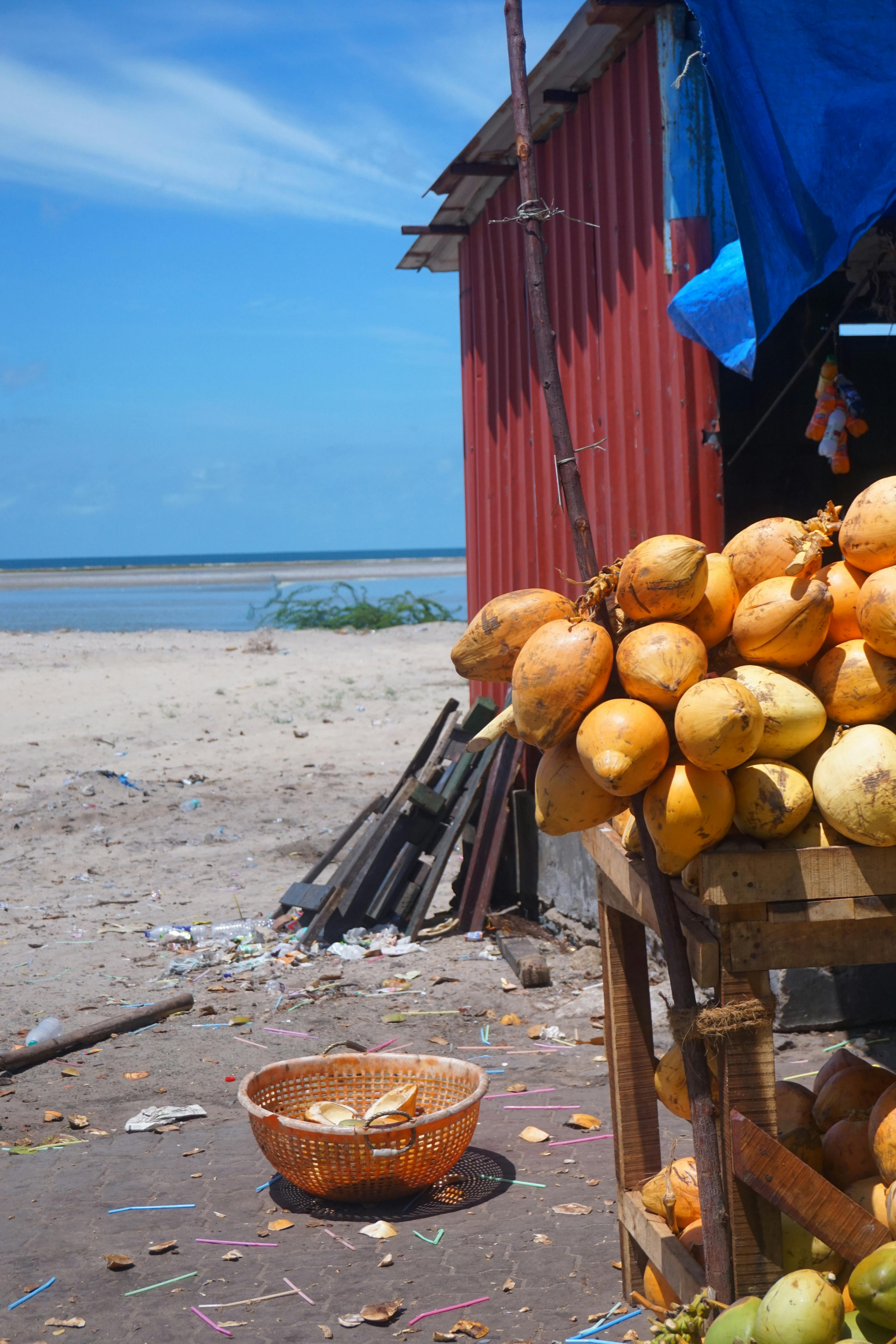 Coconut Stand Photos, Download The BEST Free Coconut Stand Stock Photos ...