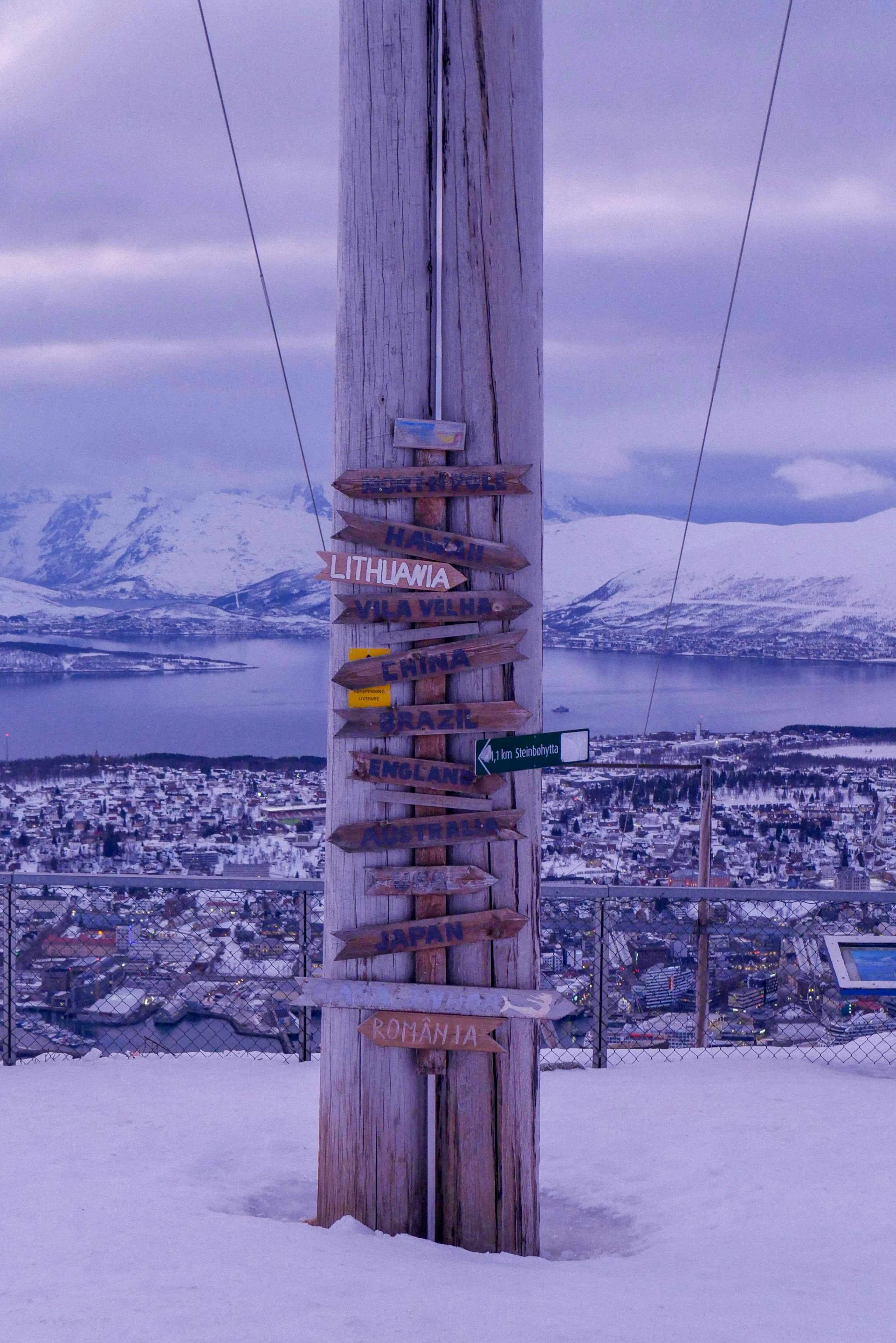 Pathways · Free Stock Photo