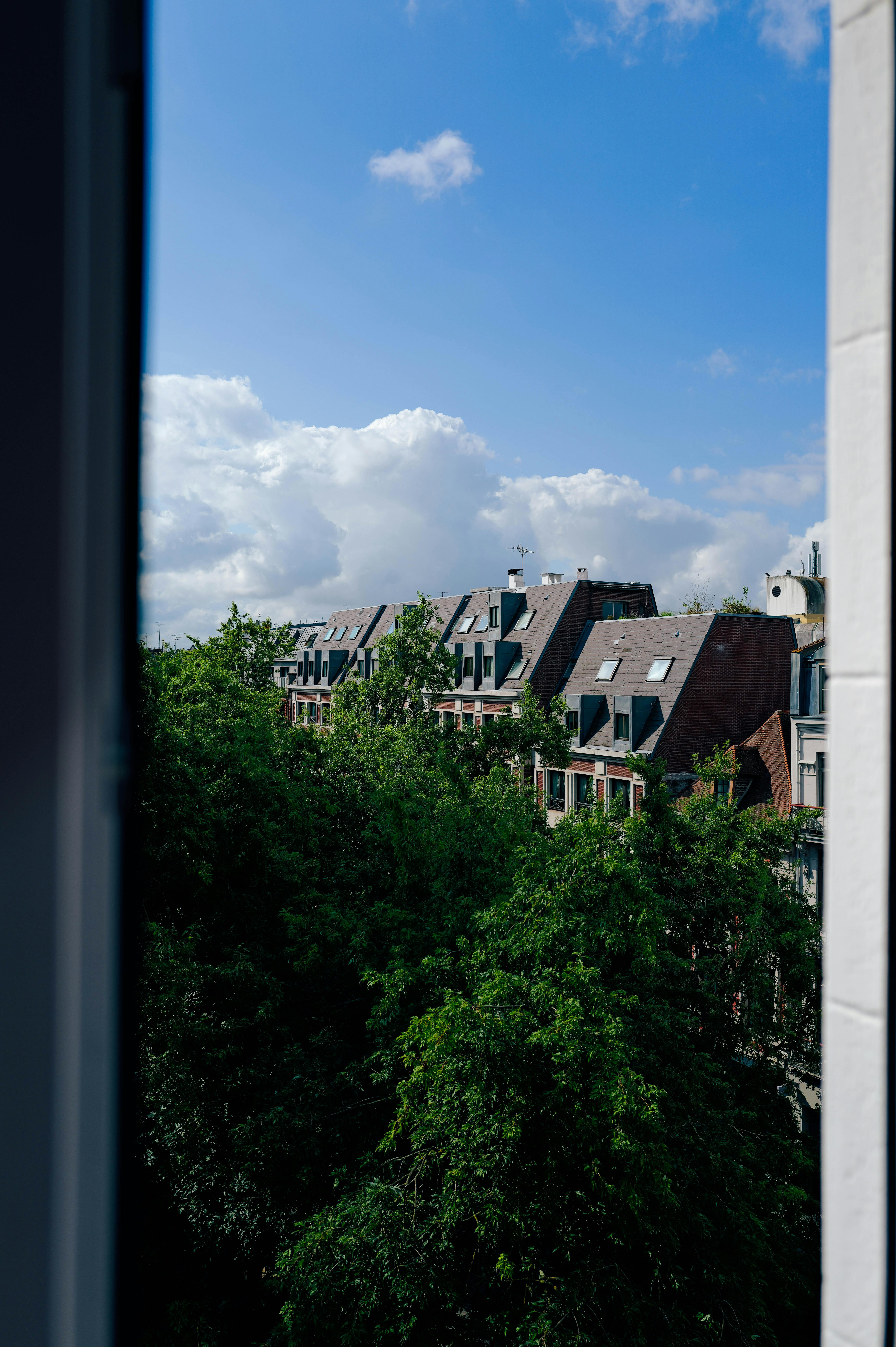 A window looking out over a city and trees · Free Stock Photo