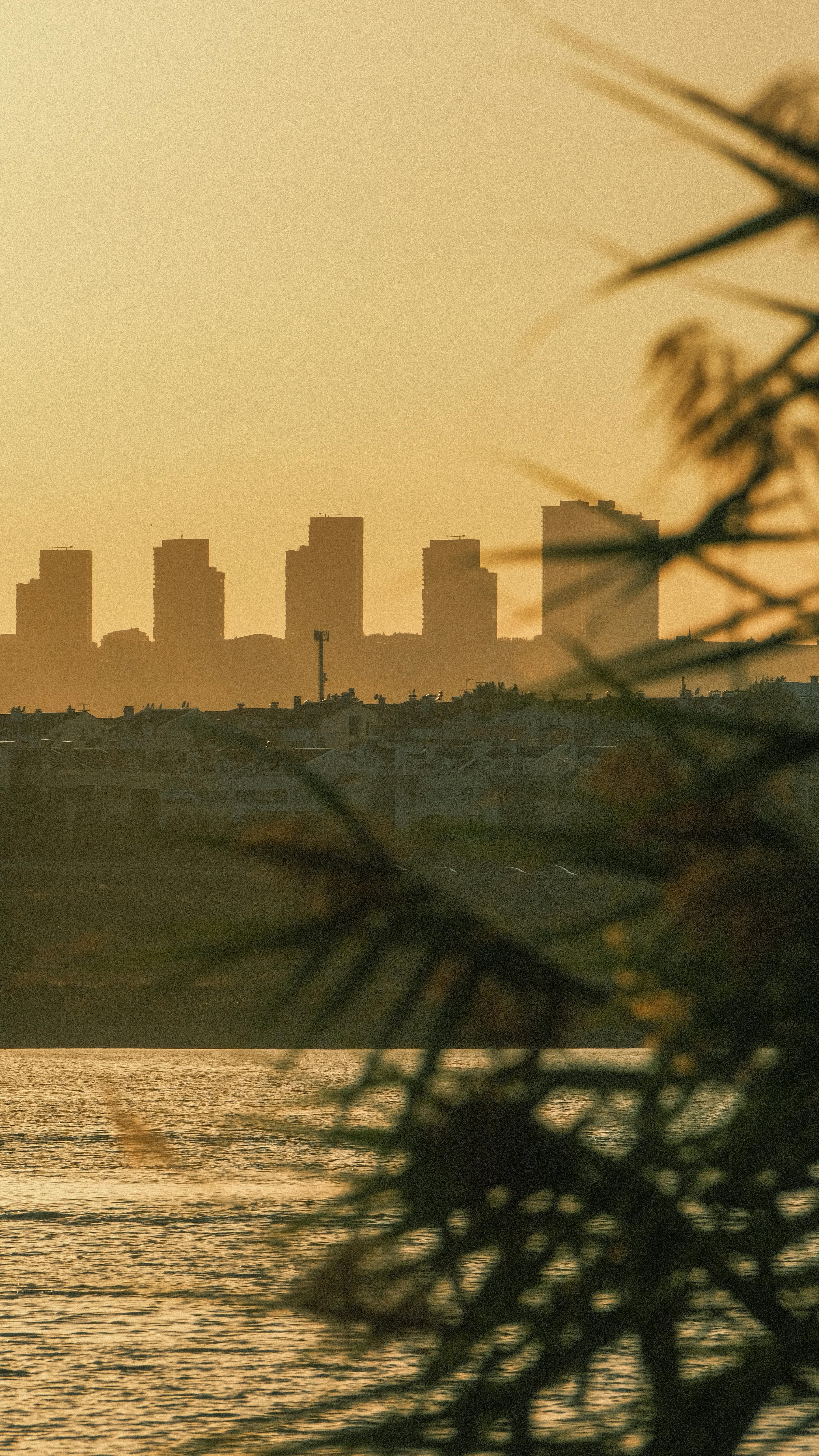 A view of the city skyline at sunset · Free Stock Photo