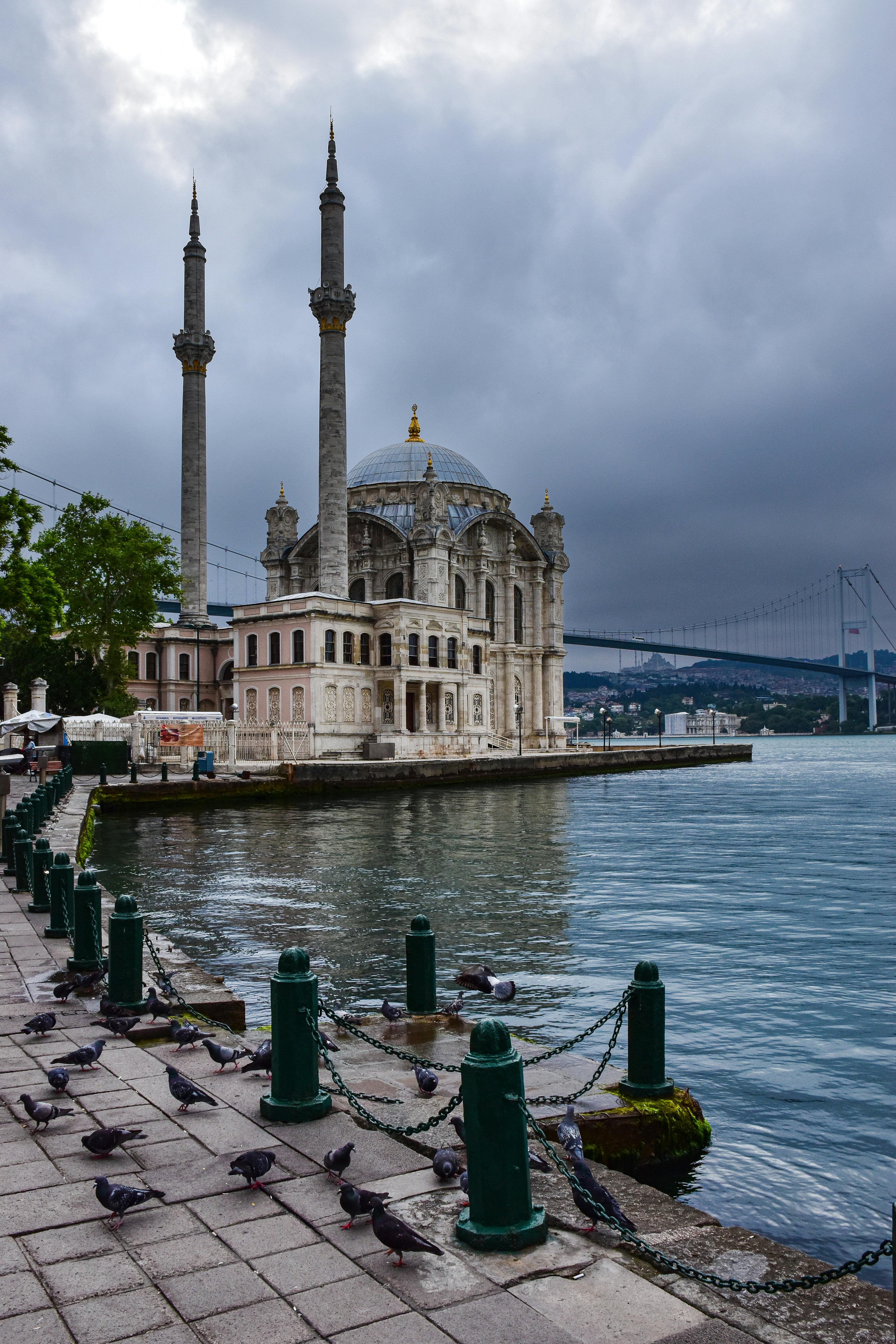 A mosque on the water with birds on the shore · Free Stock Photo