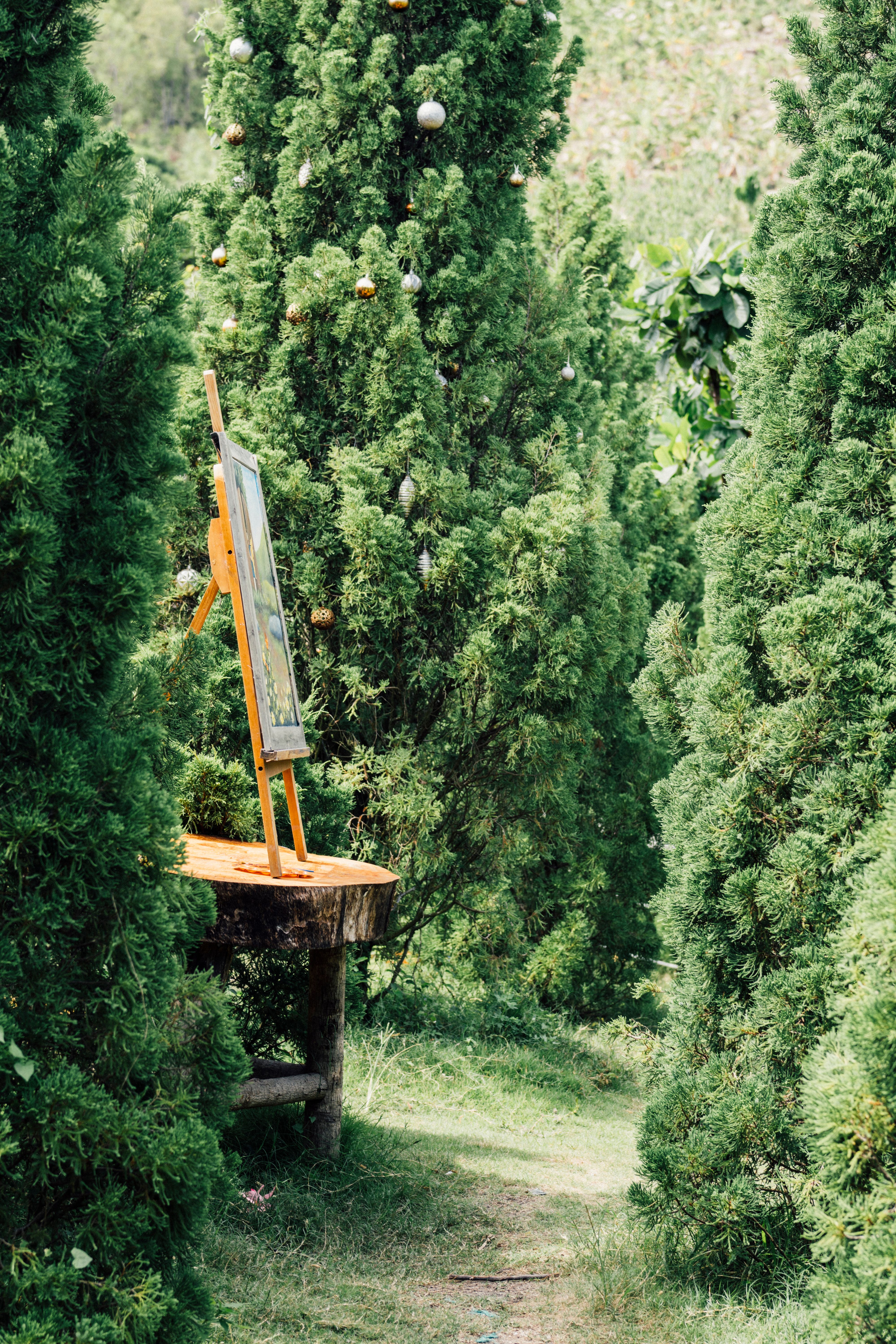 A painting on easel in the middle of a forest · Free Stock Photo
