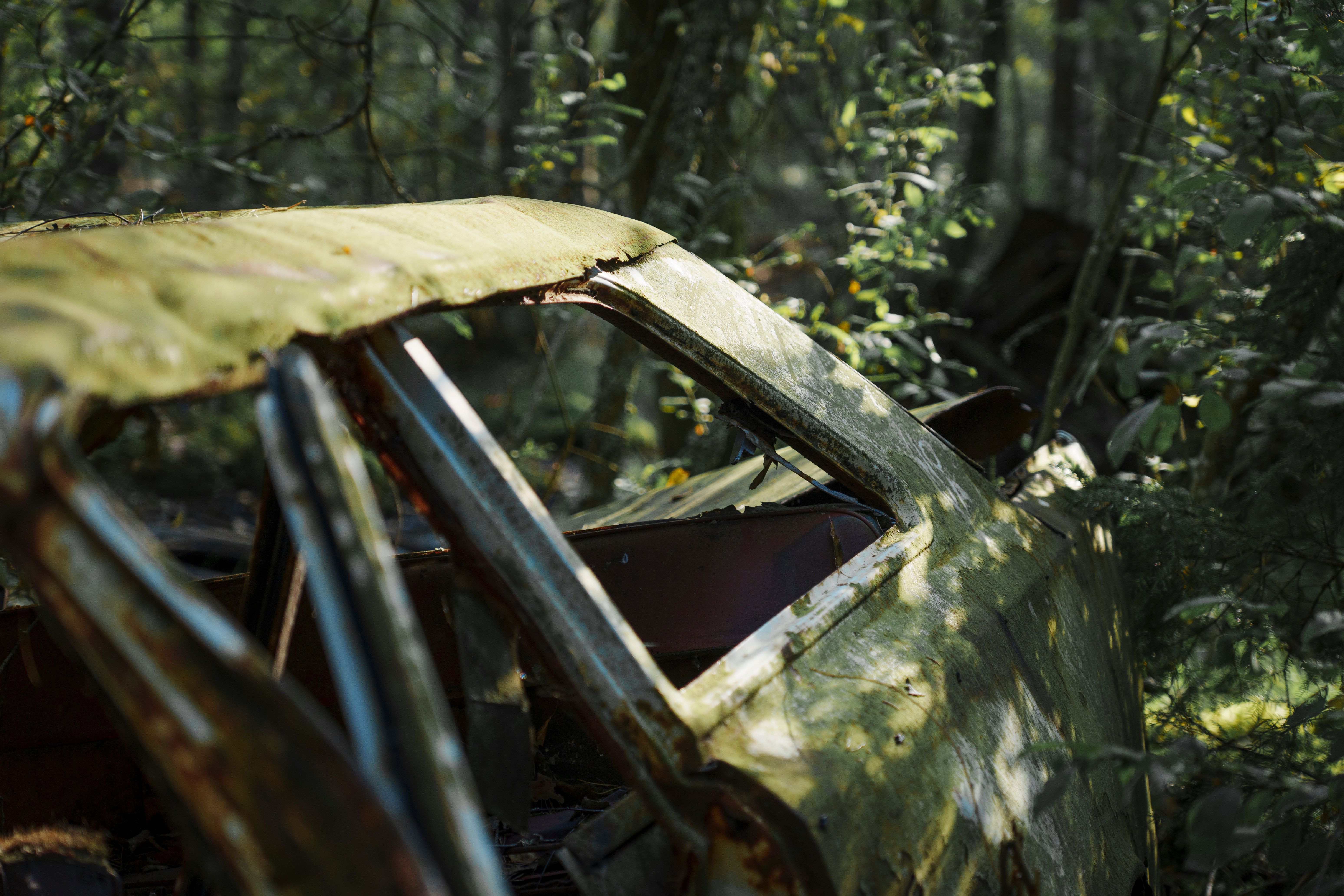 A rusty car in the woods with trees · Free Stock Photo