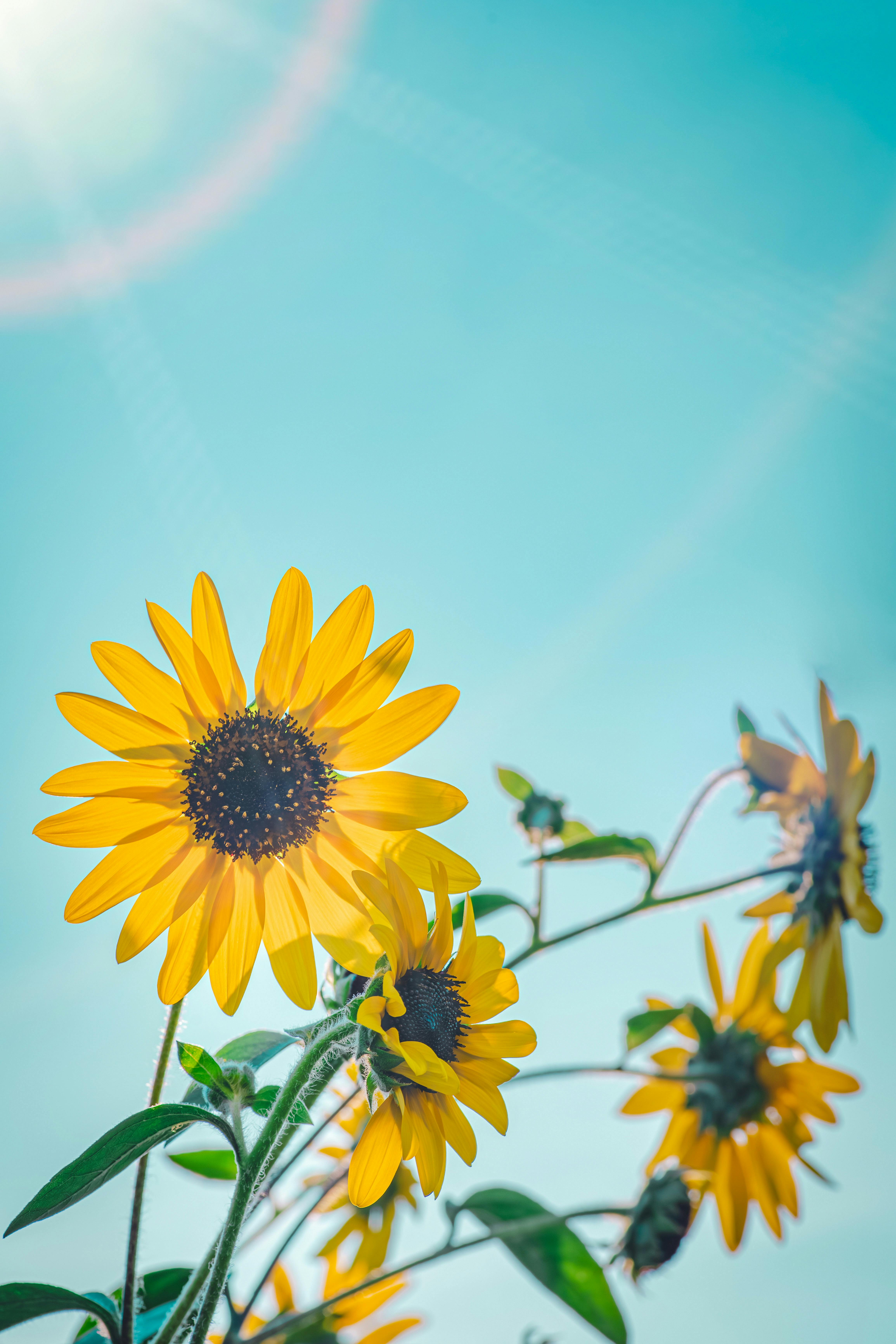 Takuya Sakamoto - 摄影