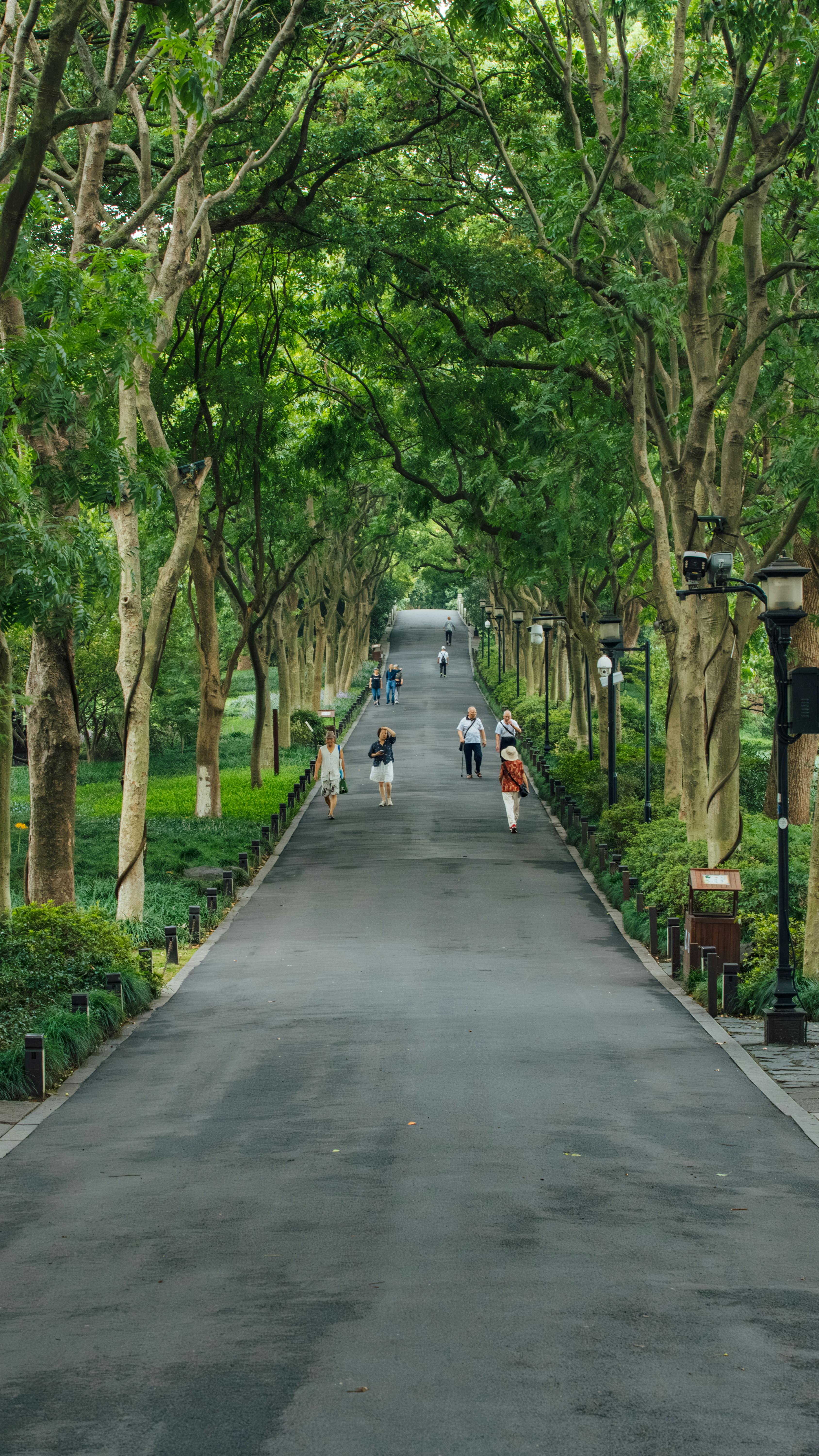 People Walking at Park · Free Stock Photo