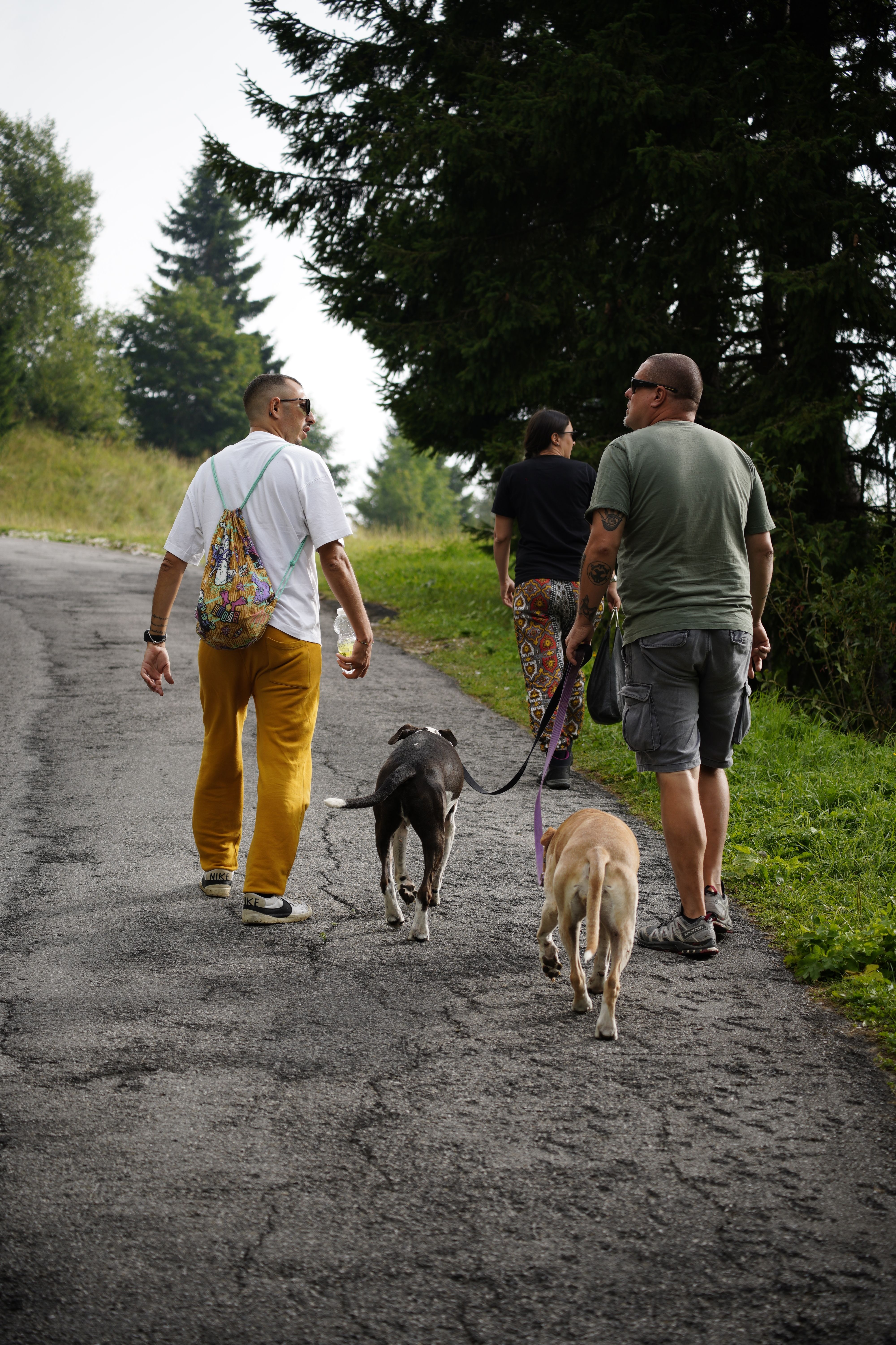 A group of people walking down a road with dogs · Free Stock Photo