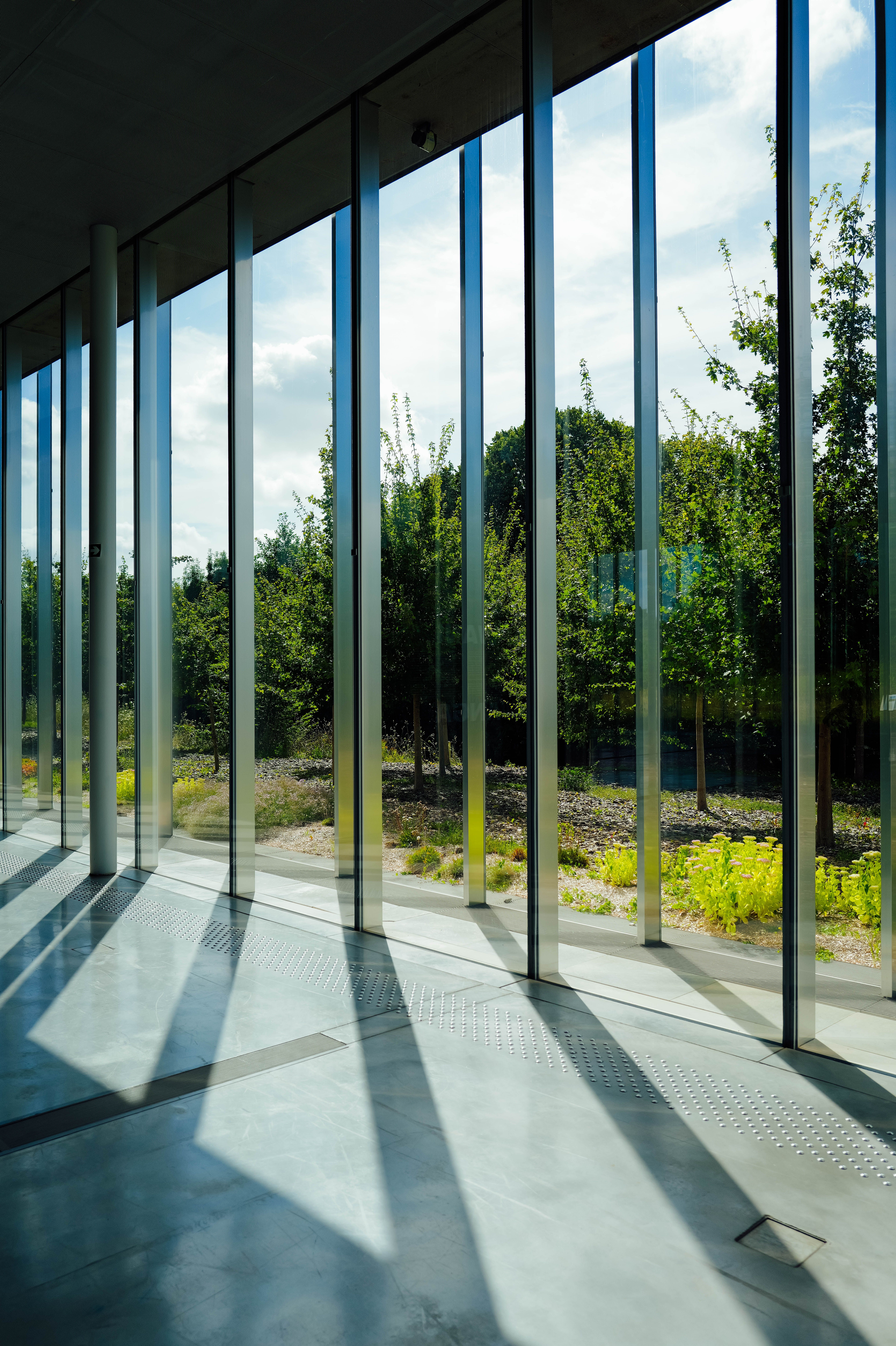 The sun shines through the glass walls of a building · Free Stock Photo