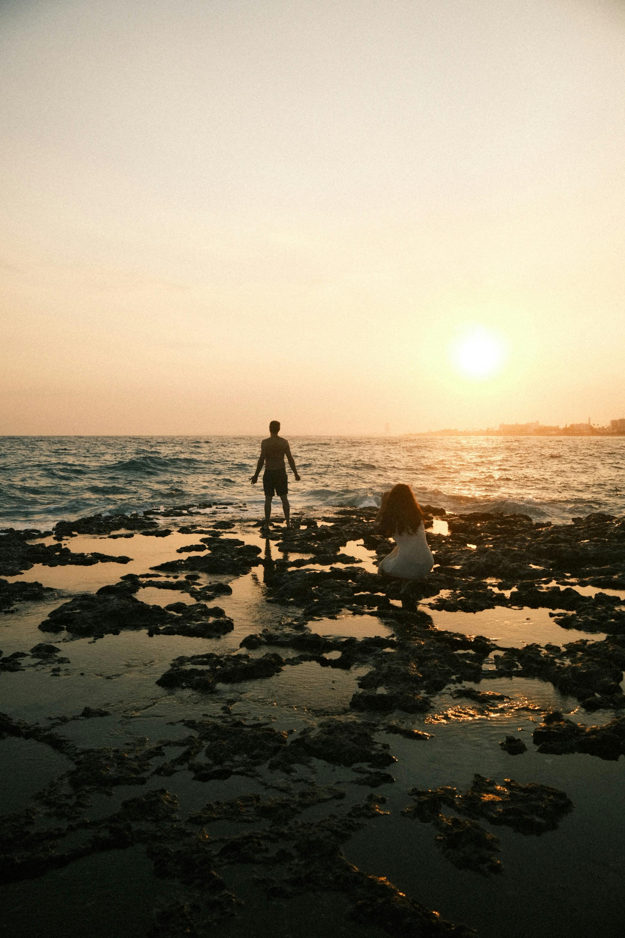 People on Beach During Sunset · Free Stock Photo