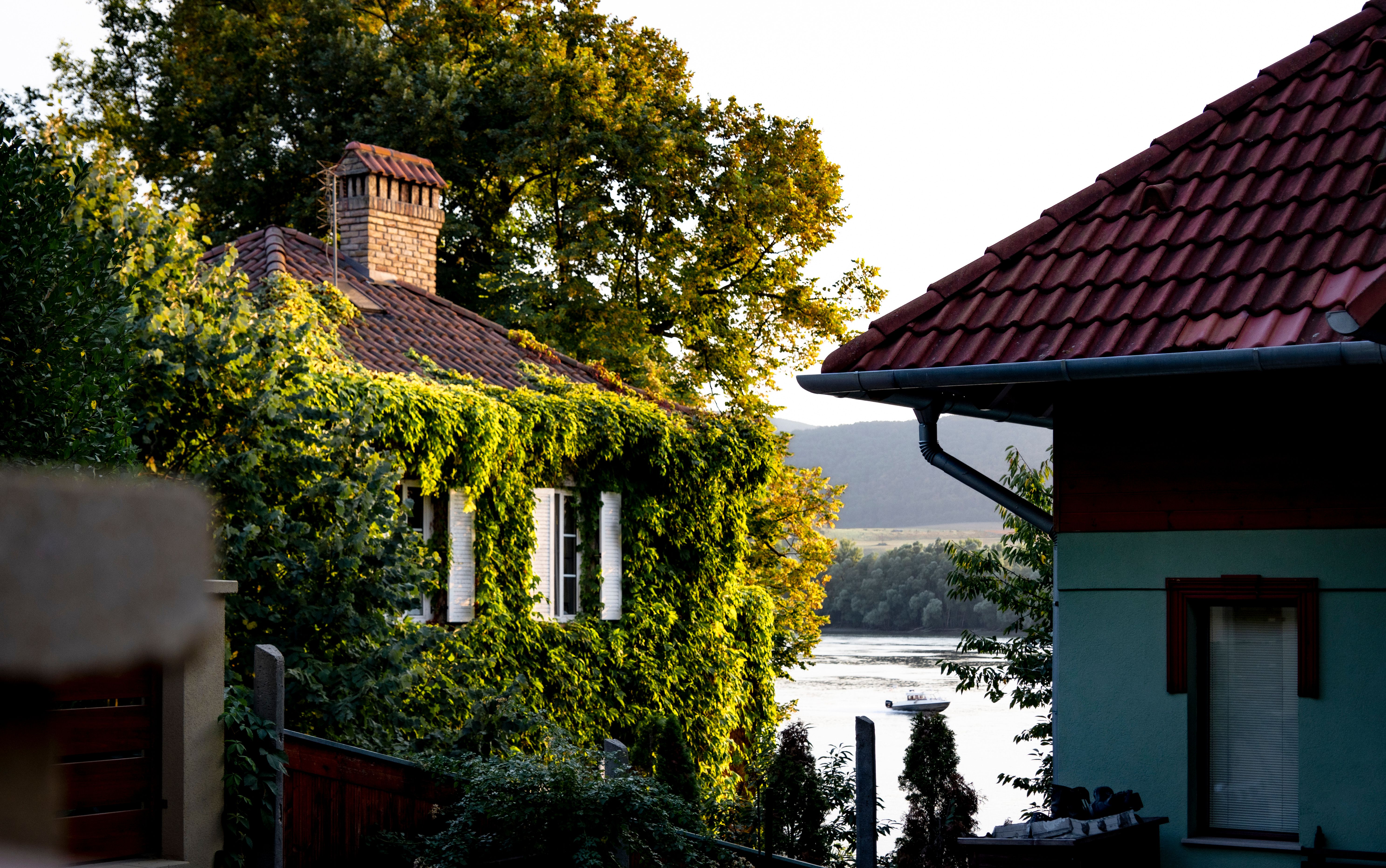 Charming Ivy-Covered Cottage by a Tranquil River · Free Stock Photo