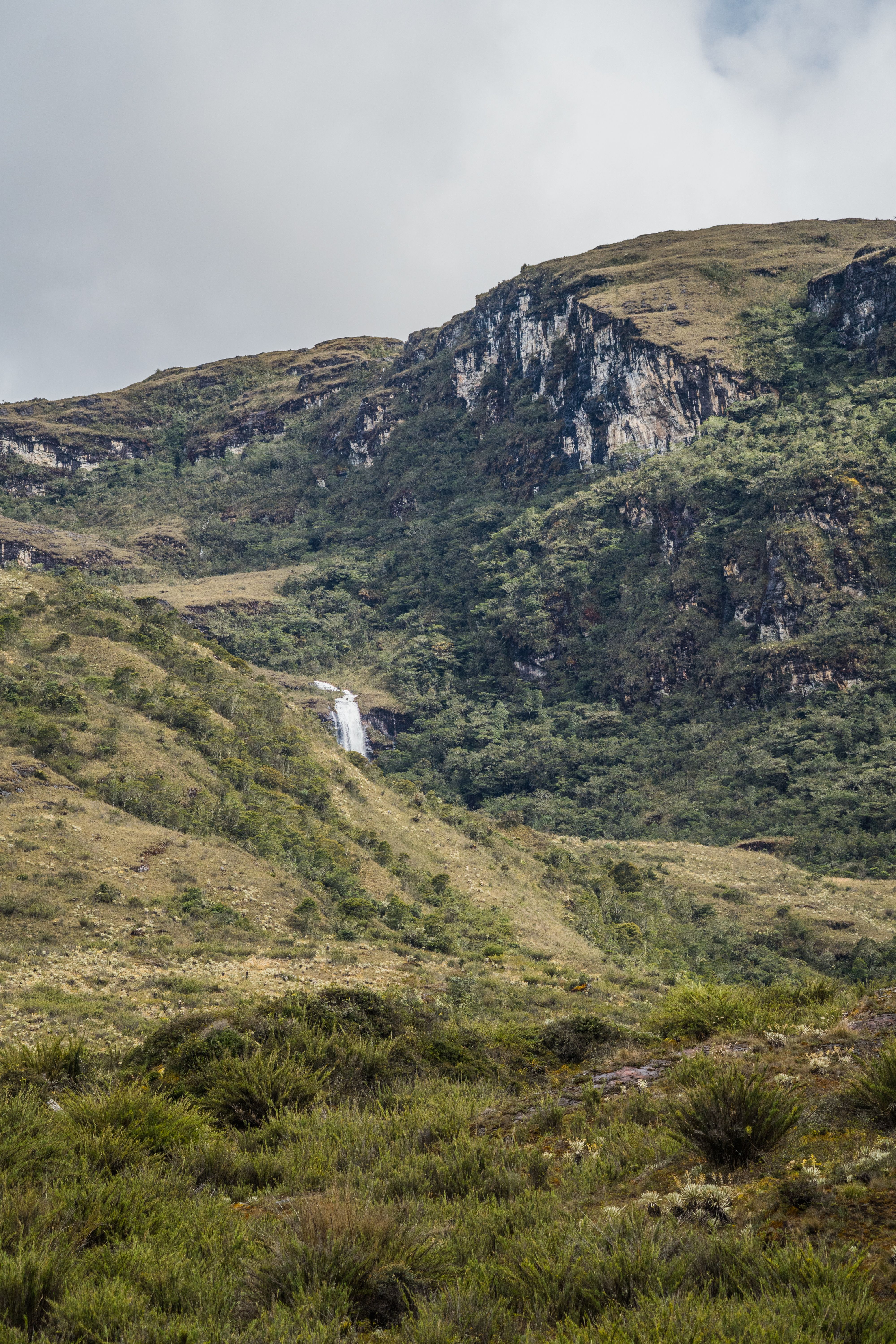 Parque Nacional Natural Chingaza · Free Stock Photo