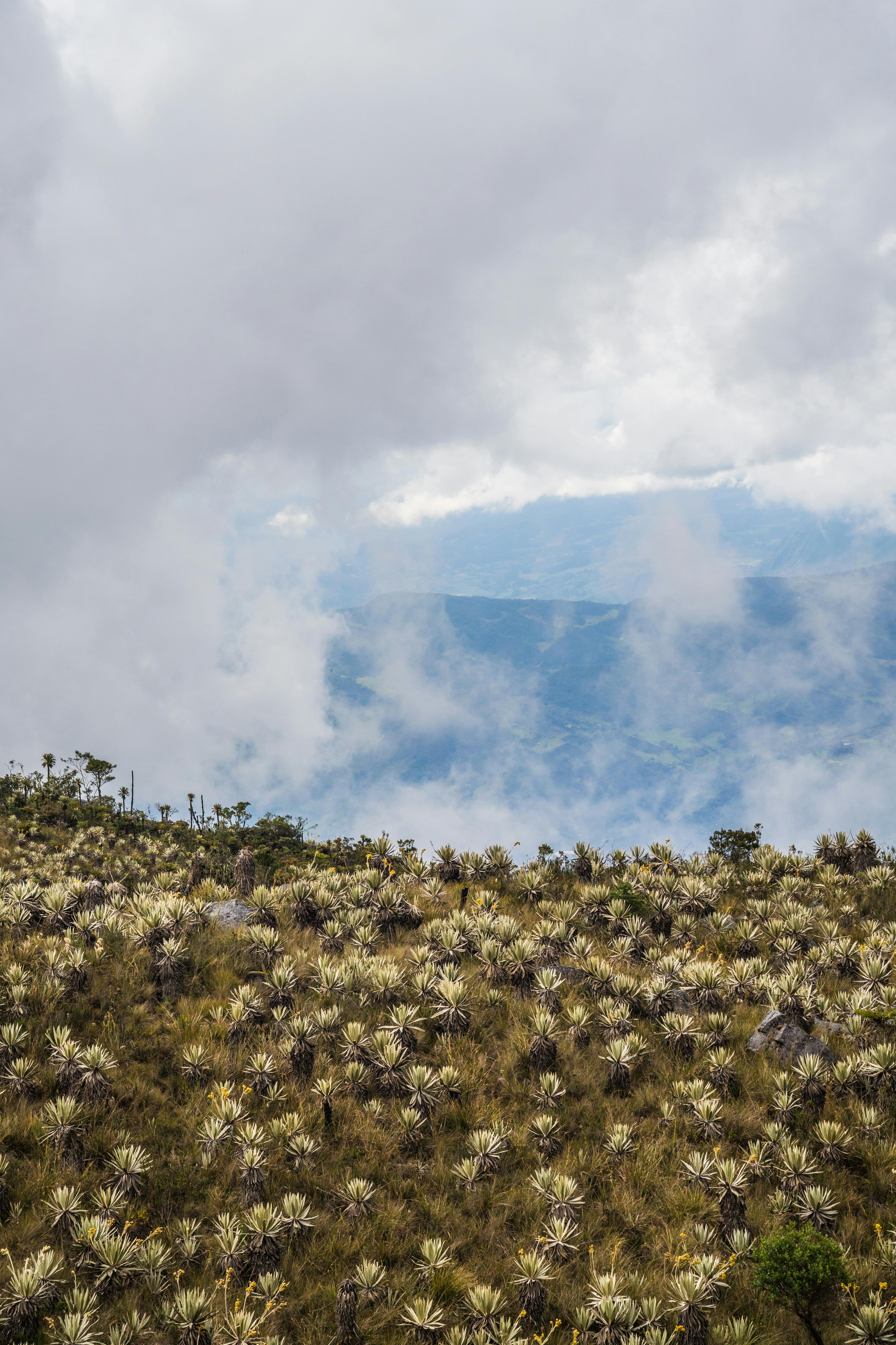 Páramo · Free Stock Photo