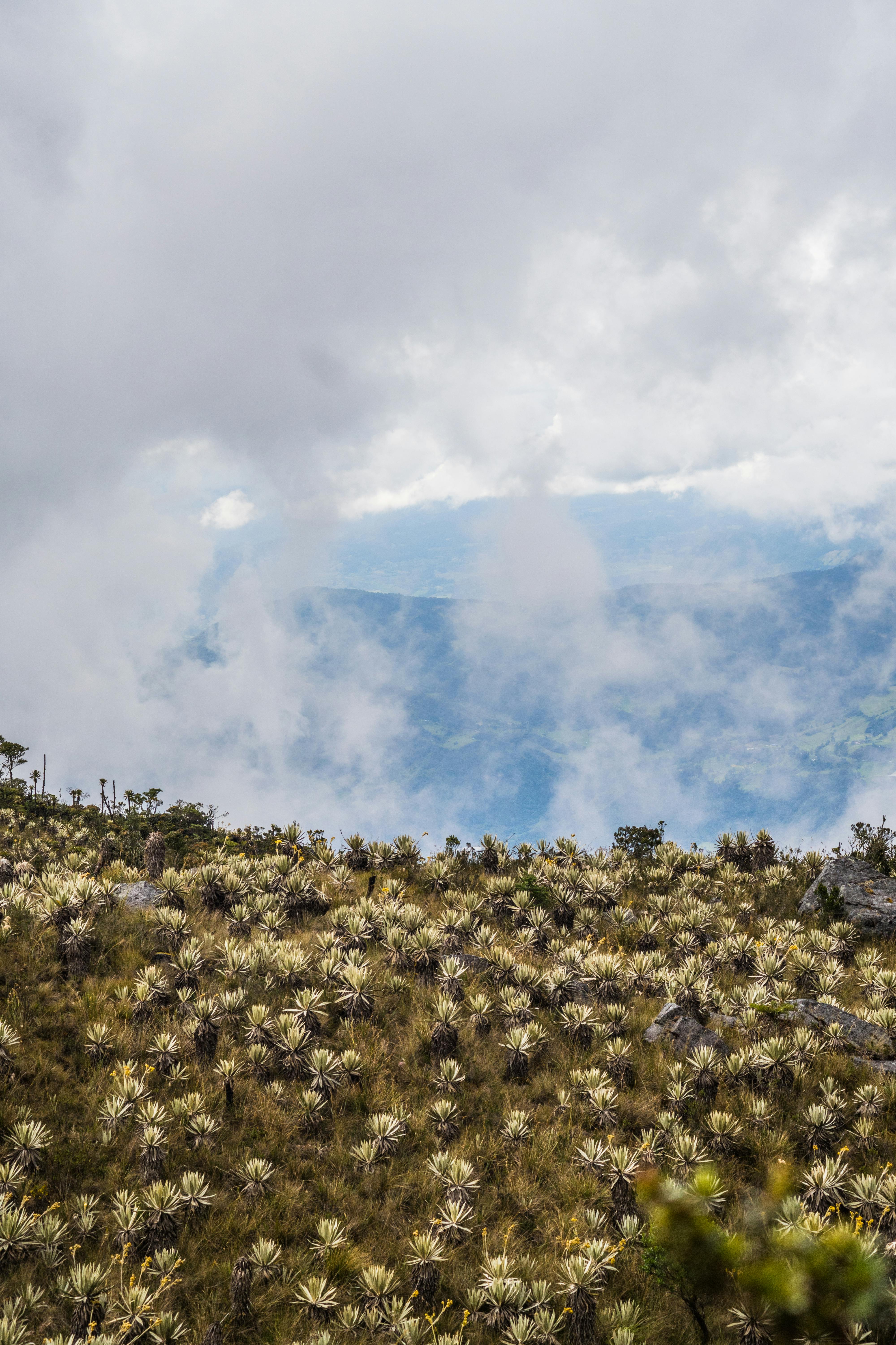 Habit Wallpaper Photos, Download The BEST Free Habit Wallpaper Stock ...