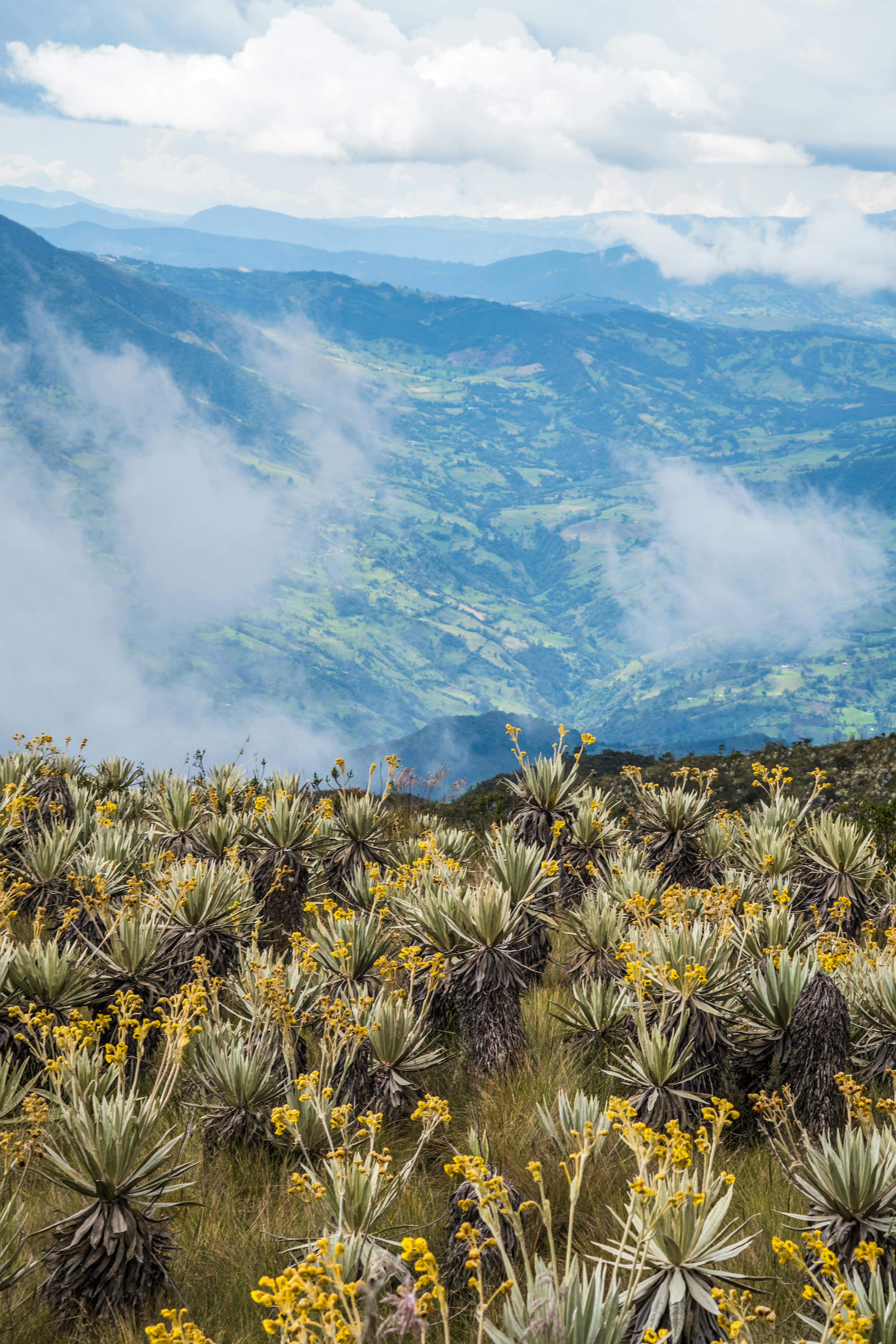 Páramo · Free Stock Photo