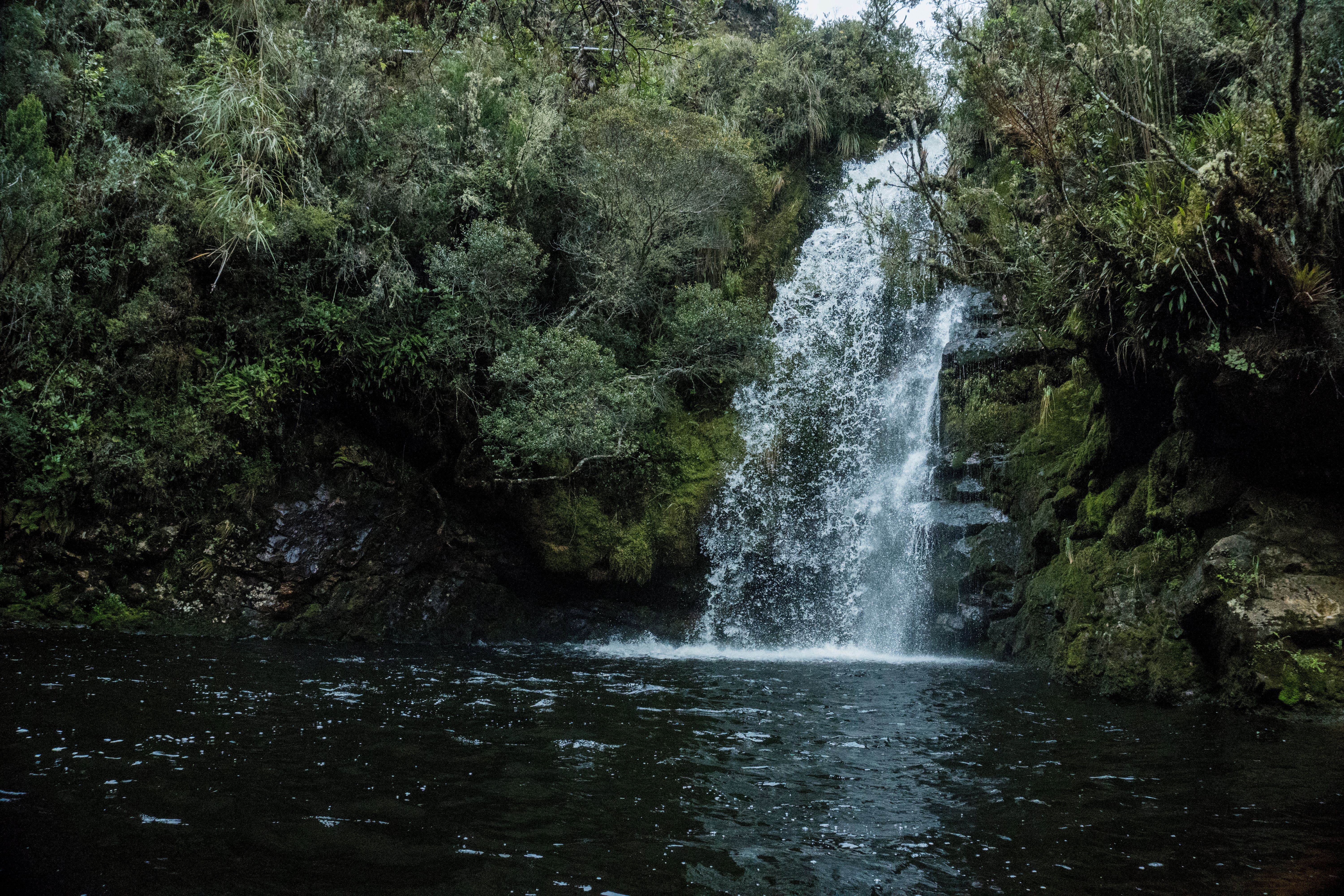 Paisaje de Colombia · Free Stock Photo