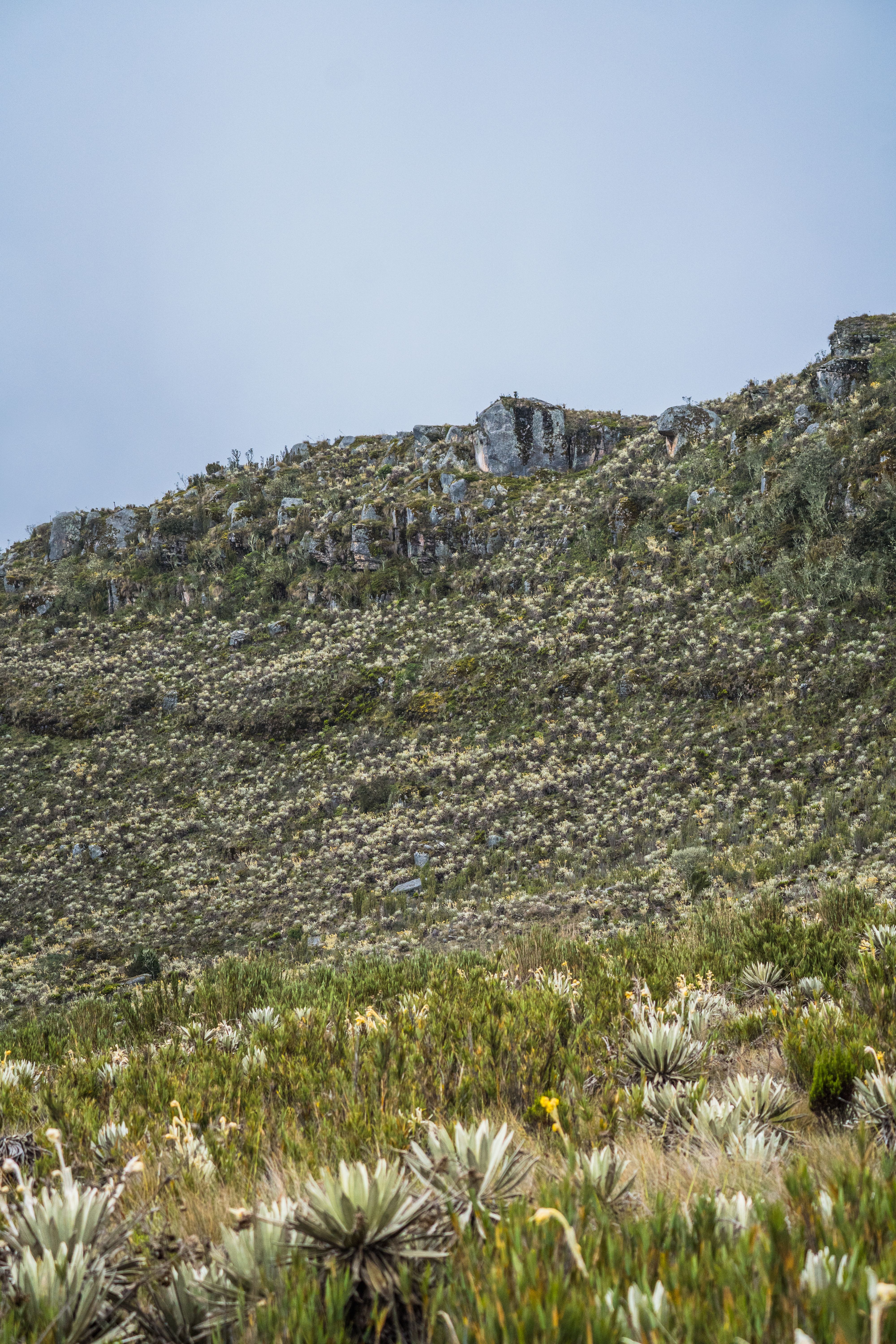 Páramo de Sumapaz · Free Stock Photo