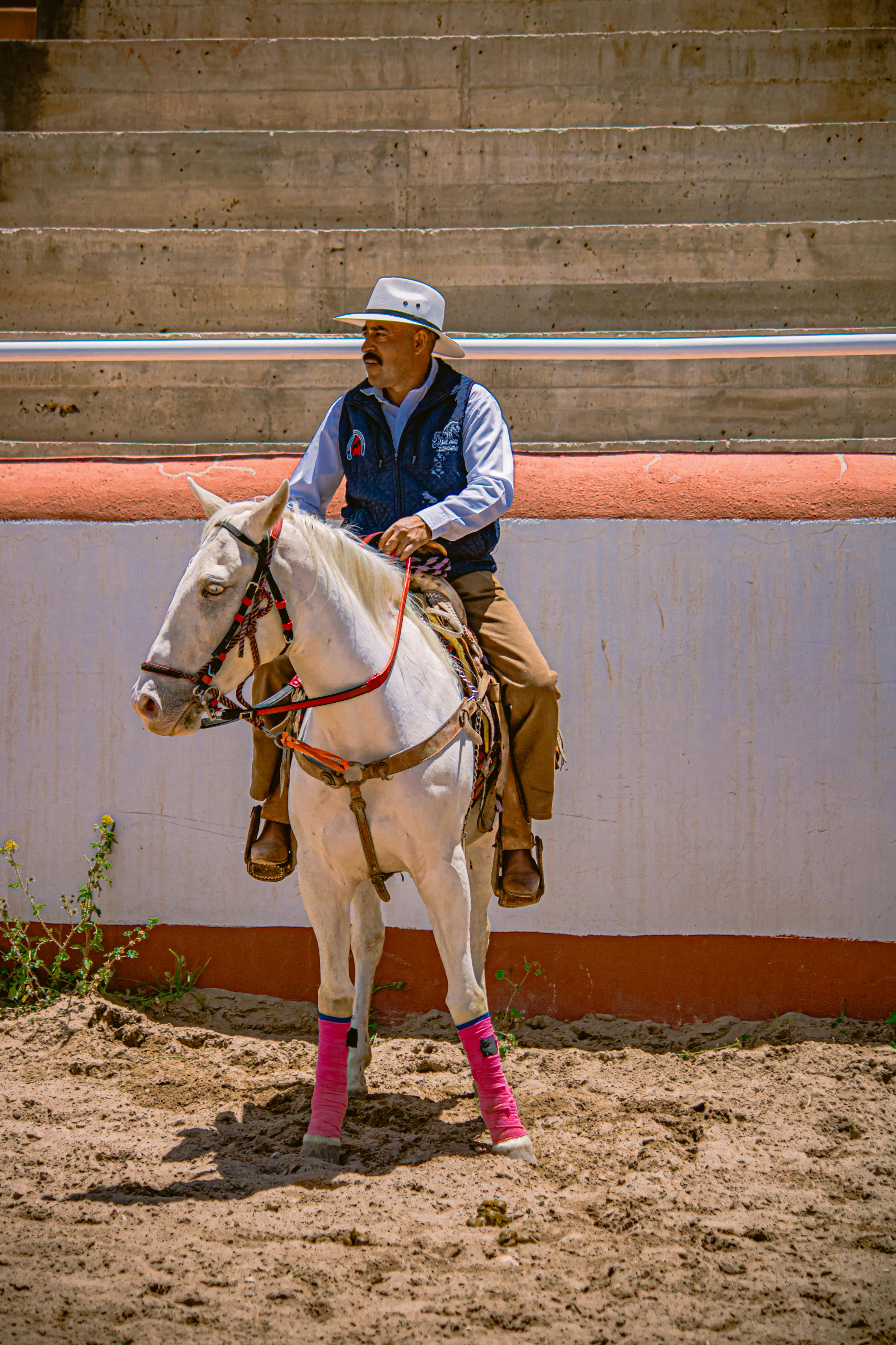 Mexican Charro Riding White Horse in Arena · Free Stock Photo