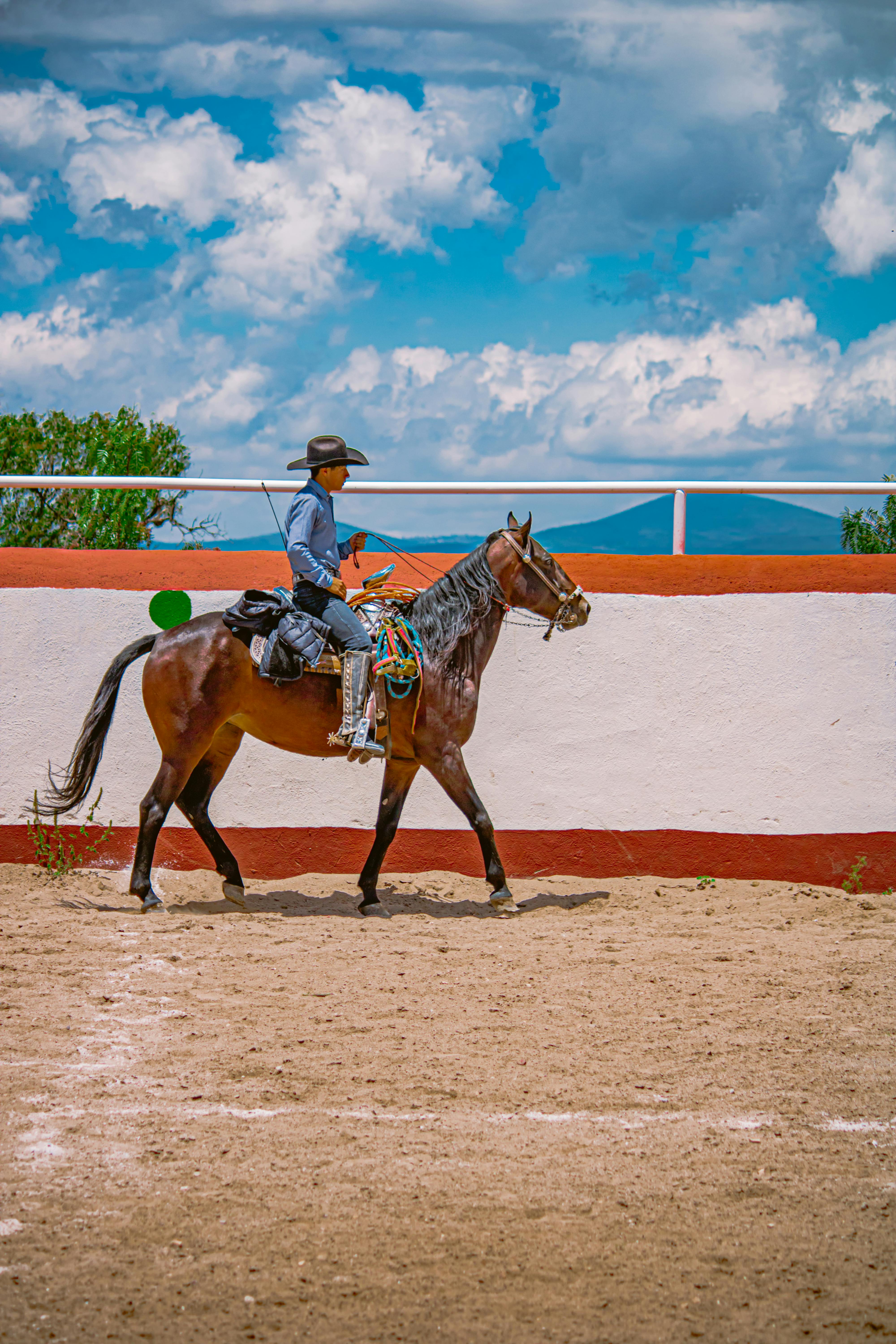 Traditional Charro on Horseback in Mexican Arena · Free Stock Photo