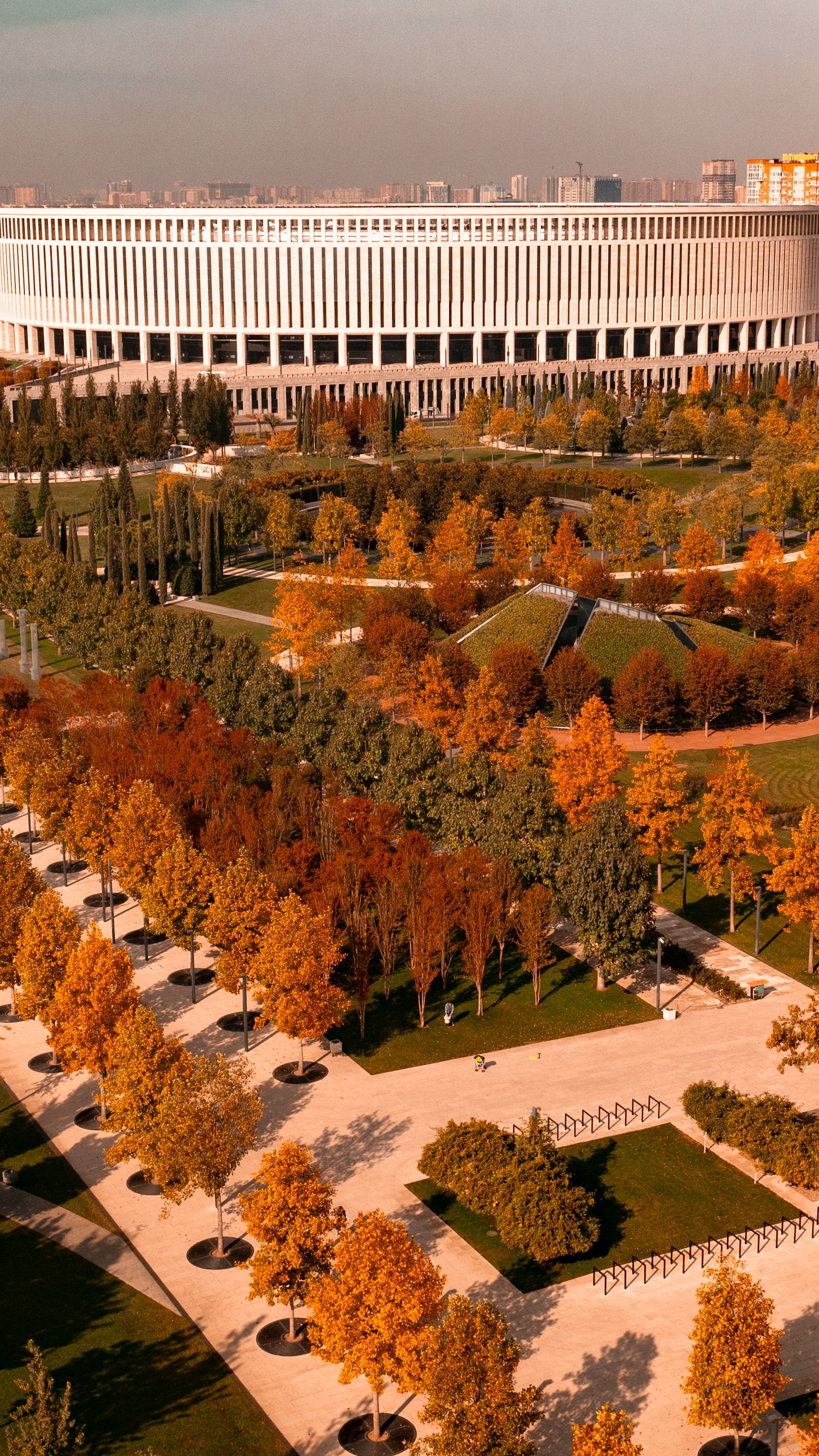 An aerial view of a large stadium with trees · Free Stock Photo
