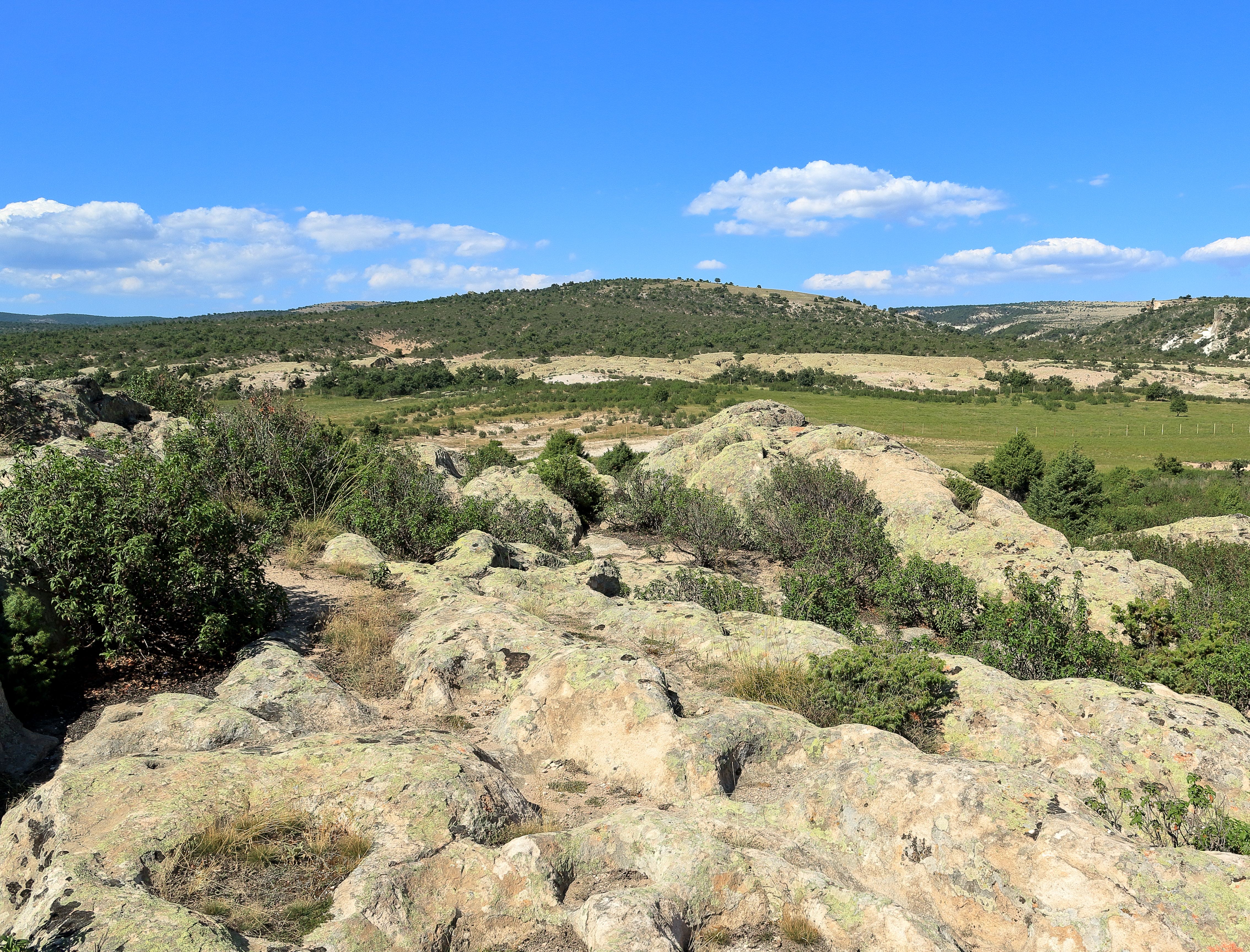 A rocky landscape with rocks and bushes · Free Stock Photo