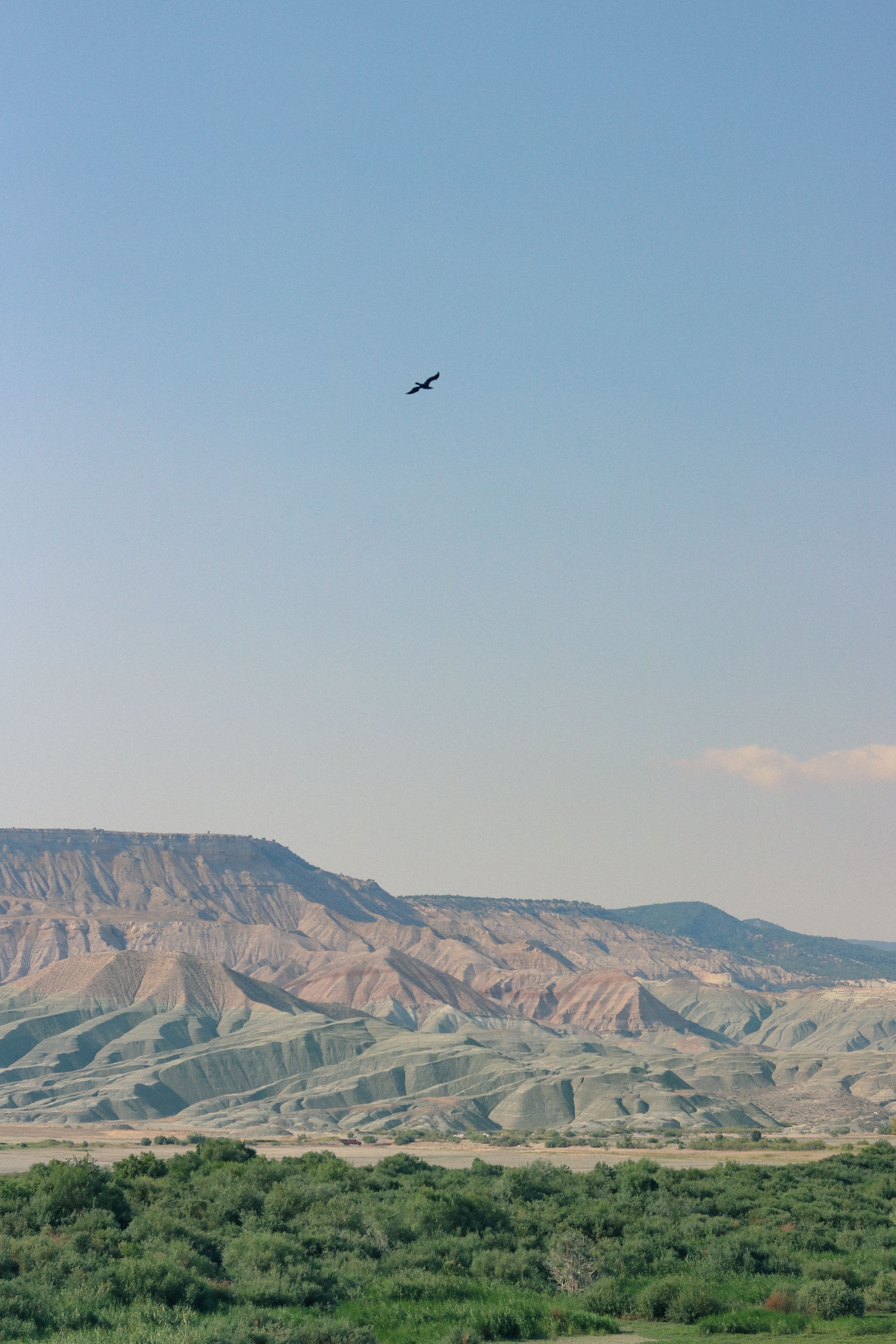 A bird flying over a desert landscape with mountains in the background ...