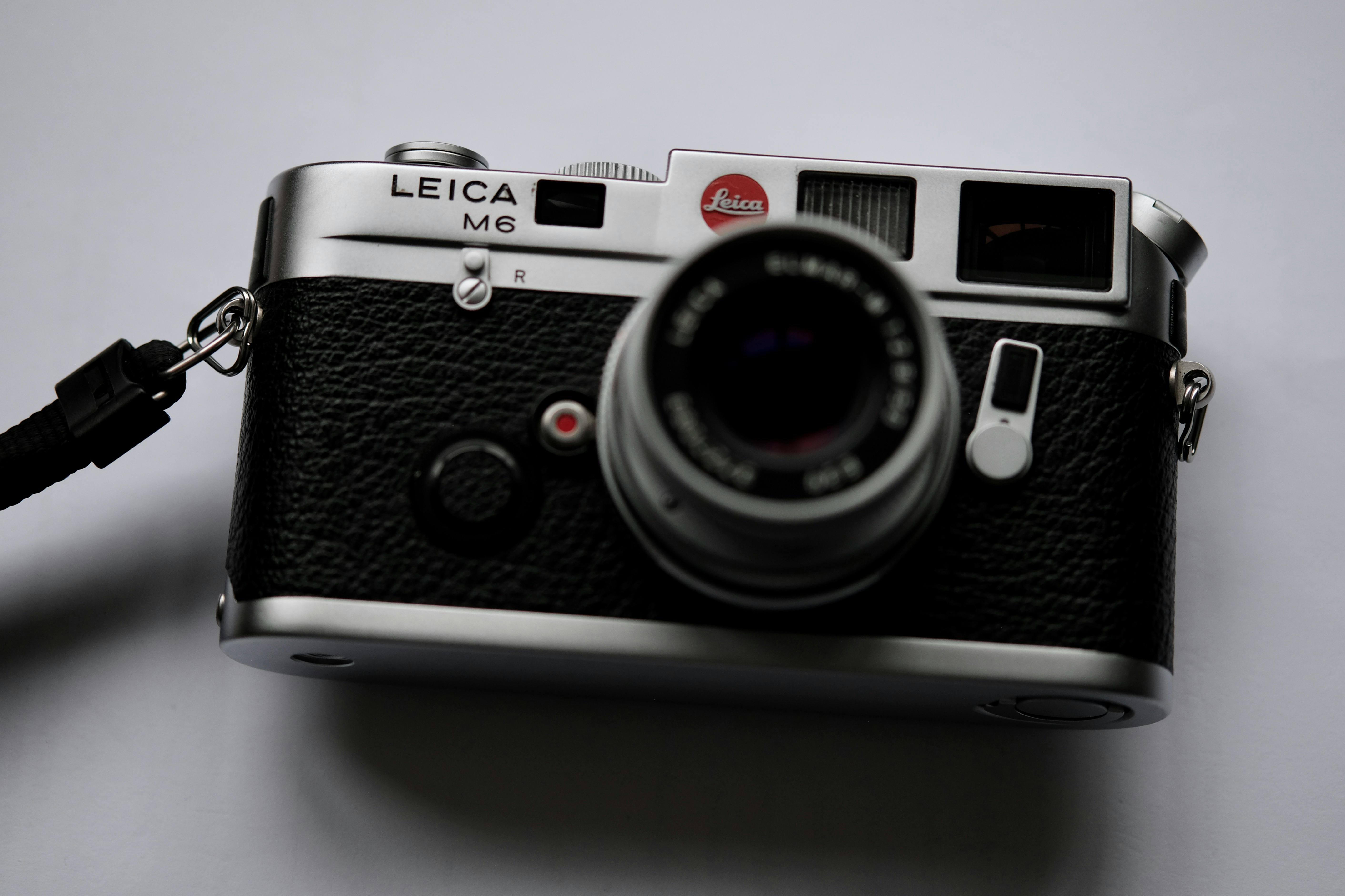 80.000+ melhores imagens de Bondo+ape+camera+trap · Download 100% ...