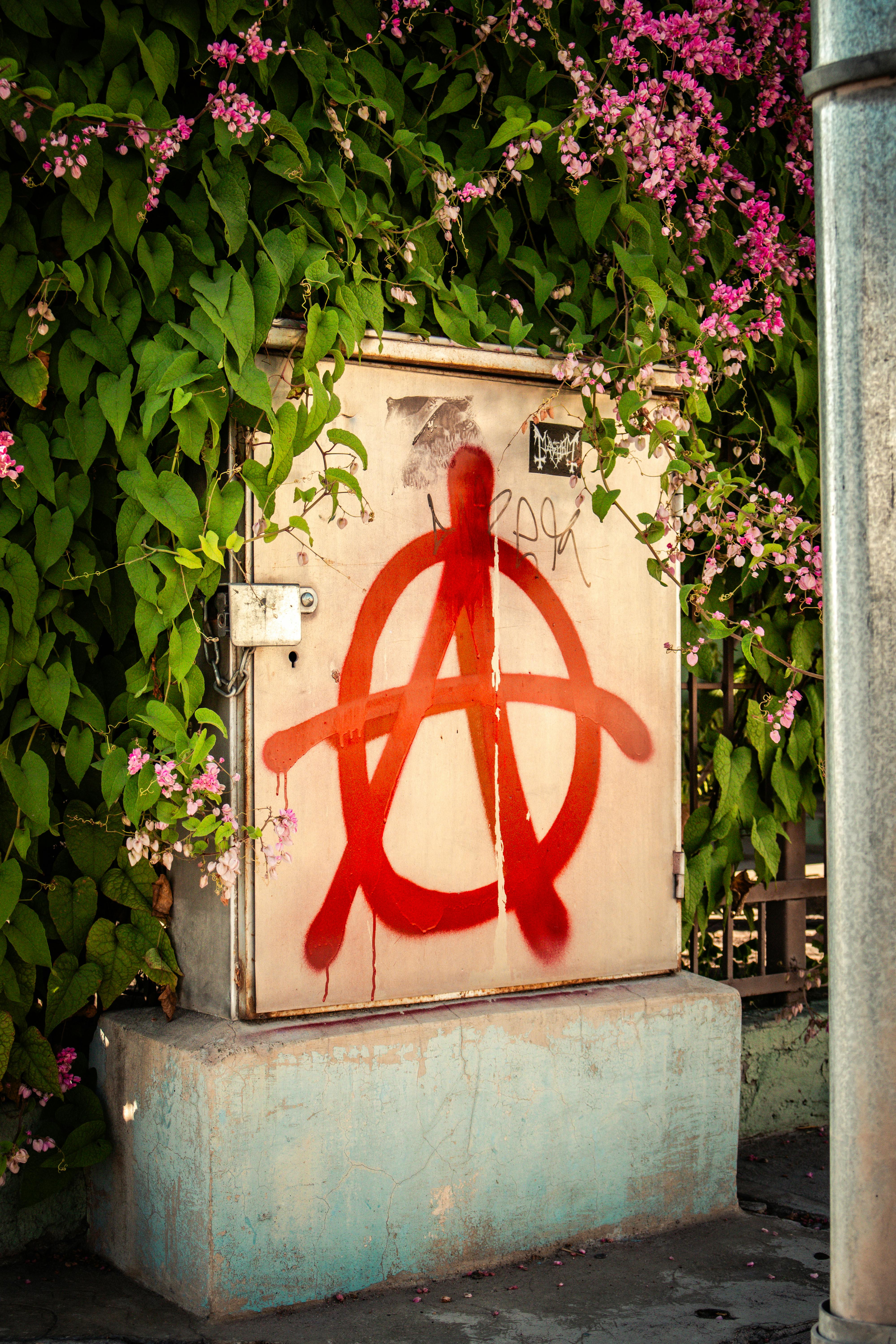A Red Anarchy Sign Painted on an Electrical Box in a City · Free Stock ...