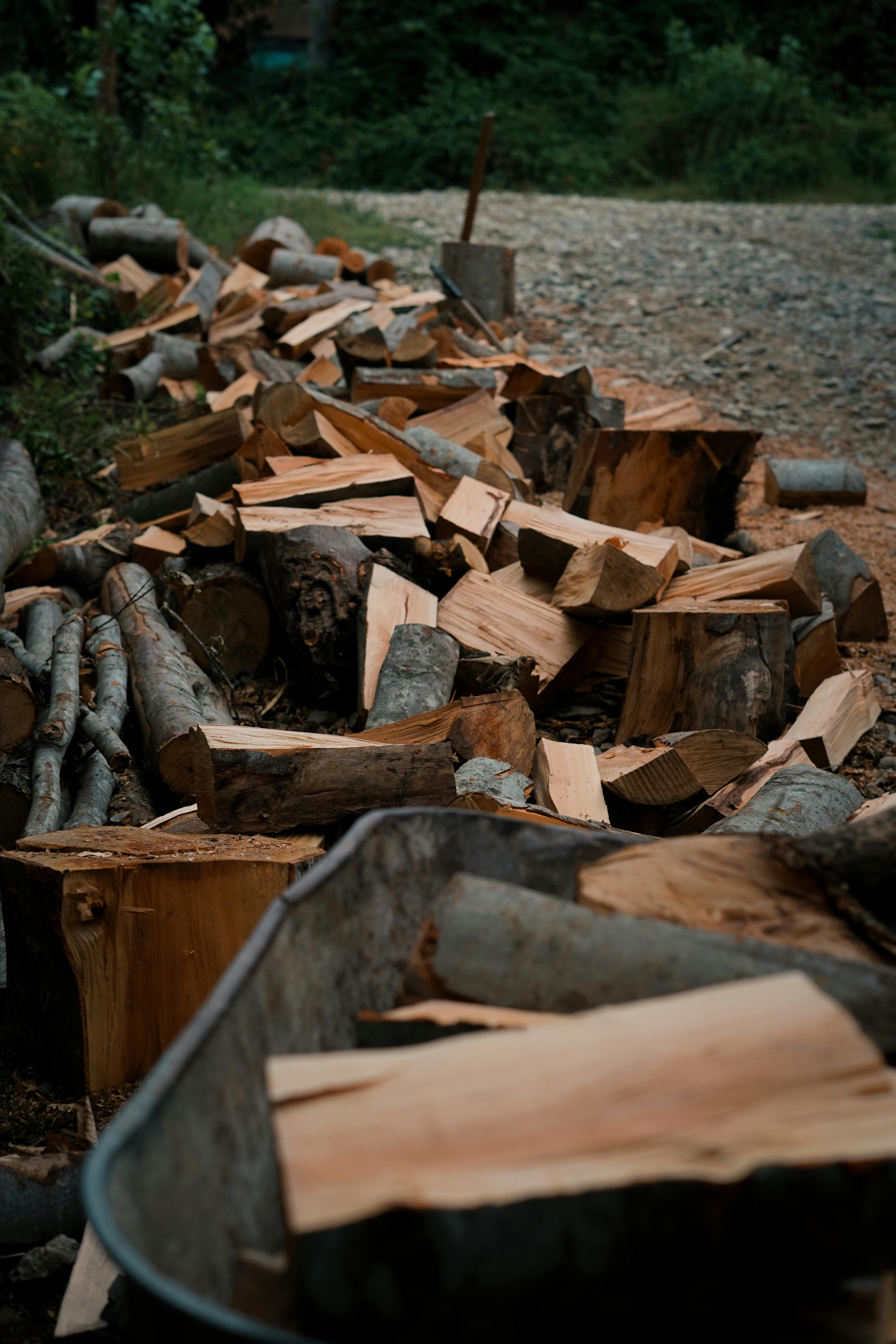 Close up on chopped timber · Free Stock Photo